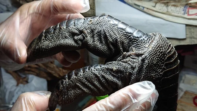 Emu Foot — MRJAKEPARKER.COM