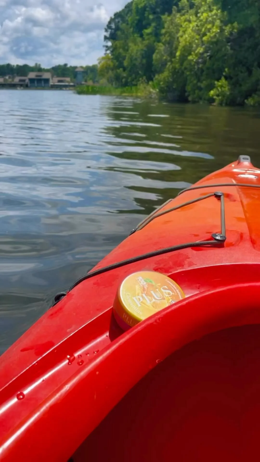 PLUS - Best-Selling, Great- Tasting Cannabis Infused Edibles