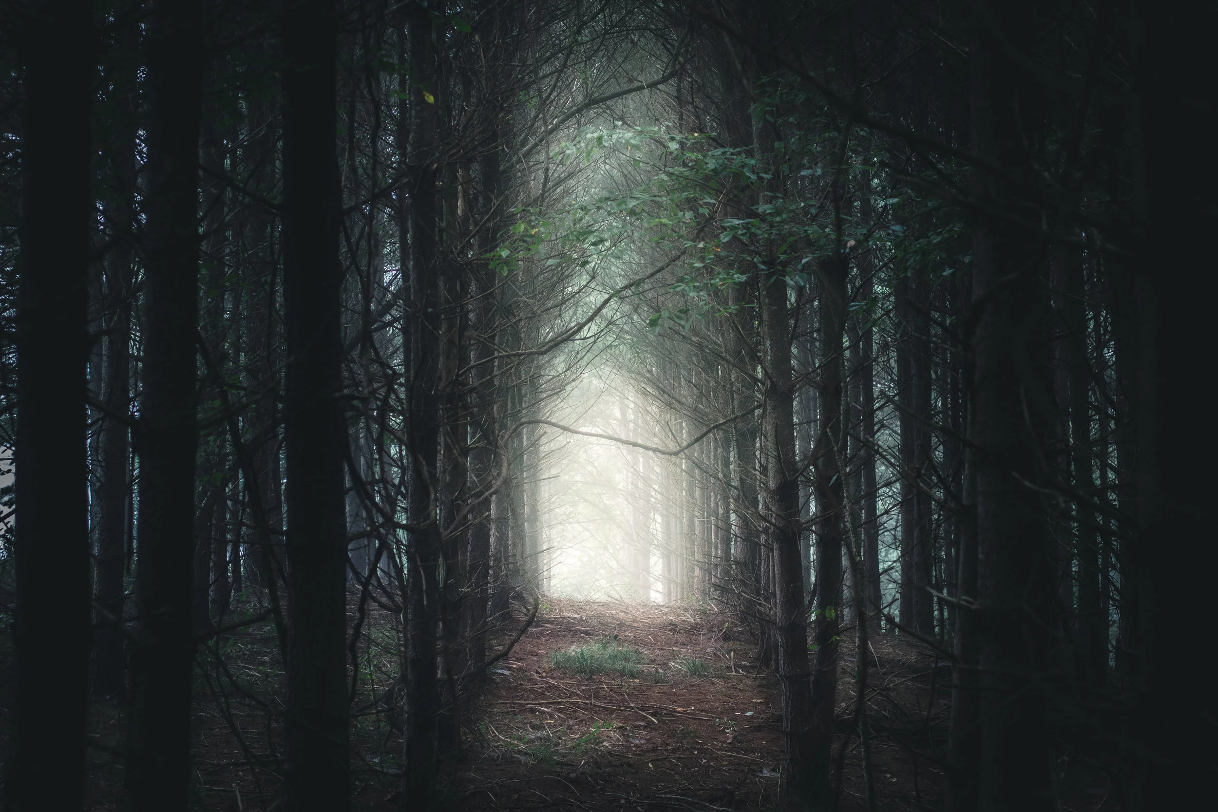 Andrew E. Weber Photography