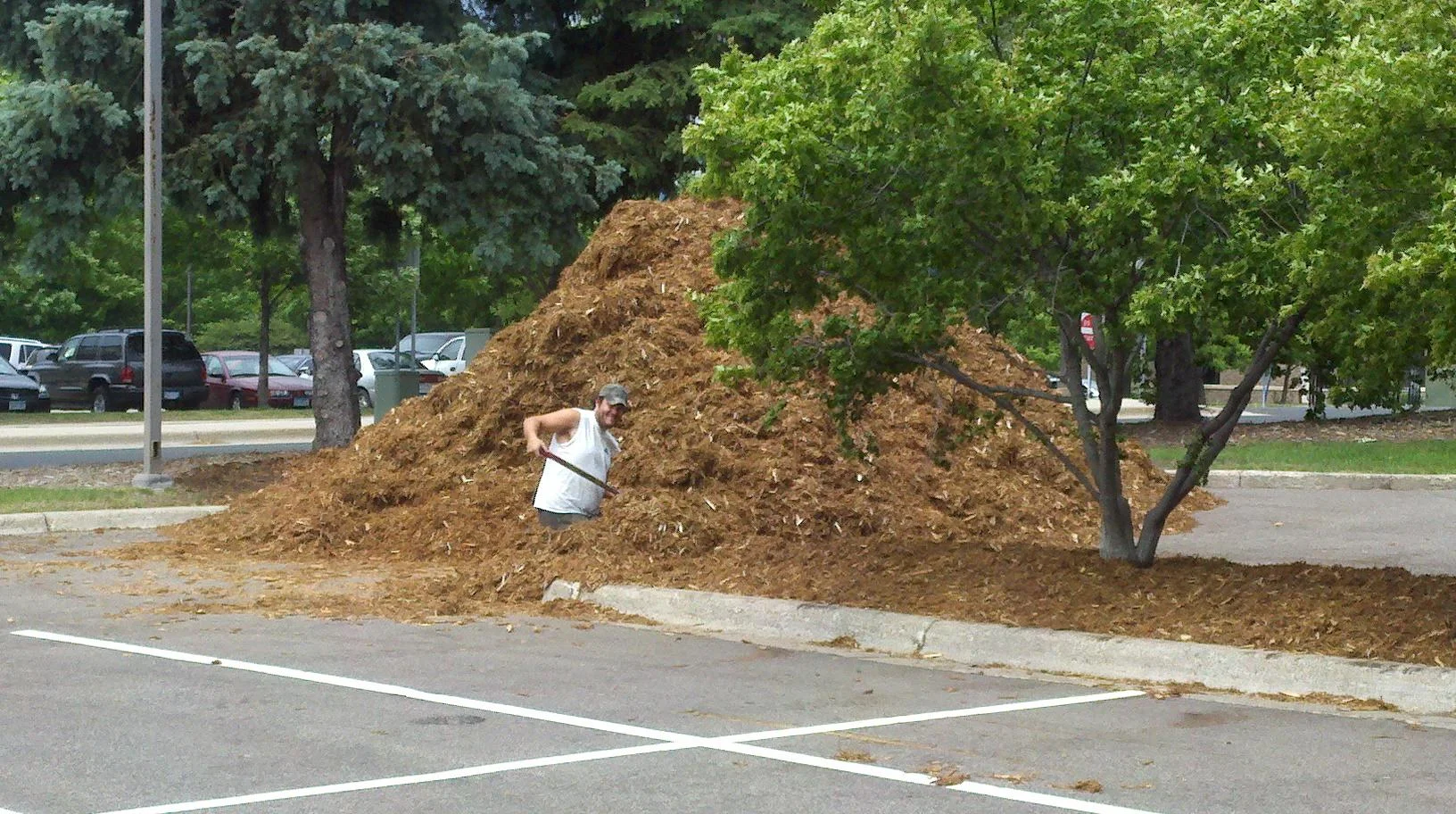 LANDSCAPING — MARK'S LAWN SERVICE INC.