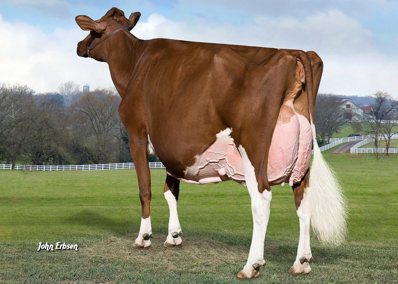 APPLE EX-96 — Lightning Ridge Genetics