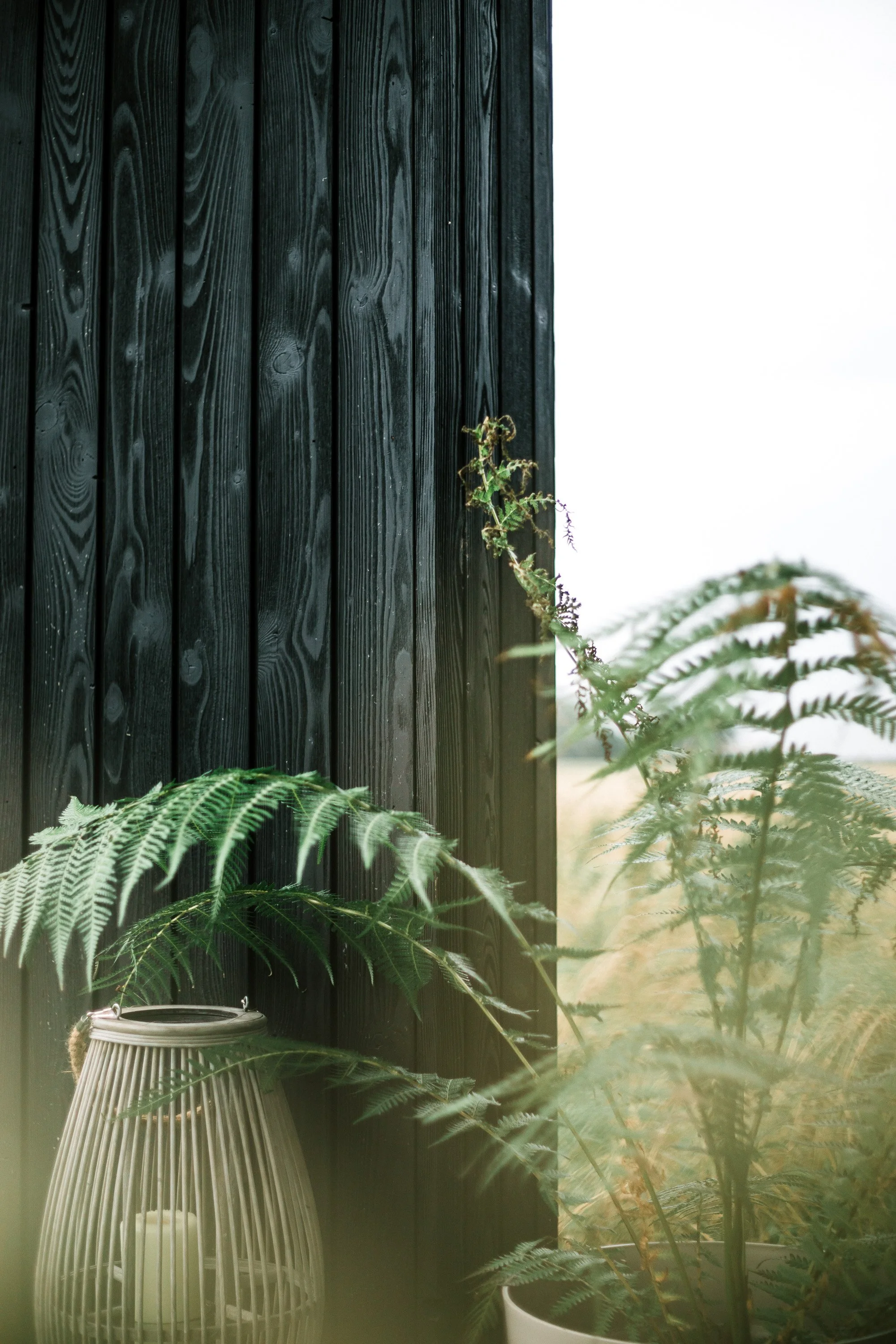 Koto Design - Architect designed prefab homes and cabins in the UK ...