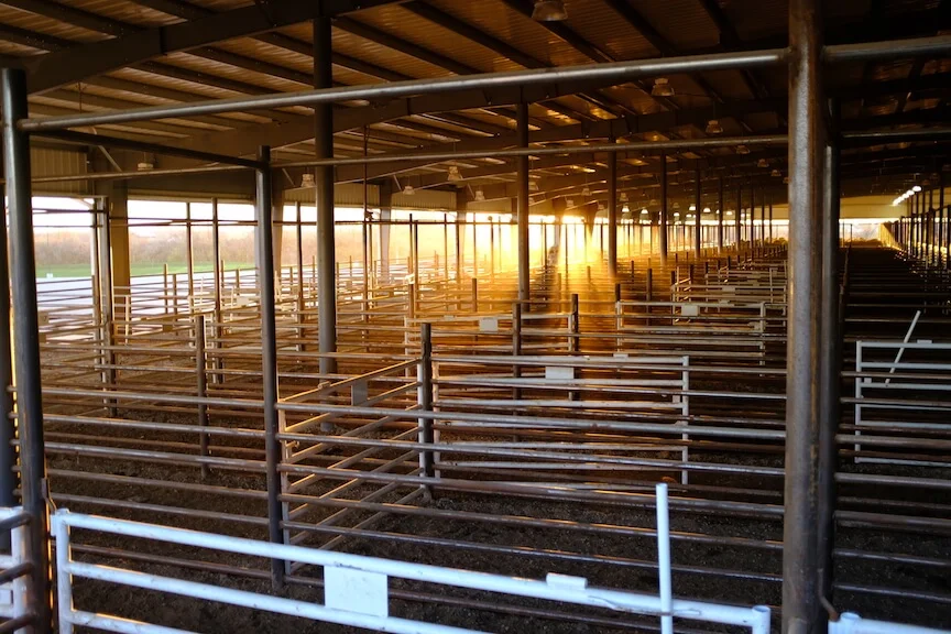 Learn — Blue Grass Stockyards Regional Marketplace
