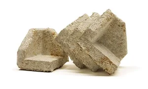 Mushrooms: An Ecological Alternative to Plastics? — Greenbatch