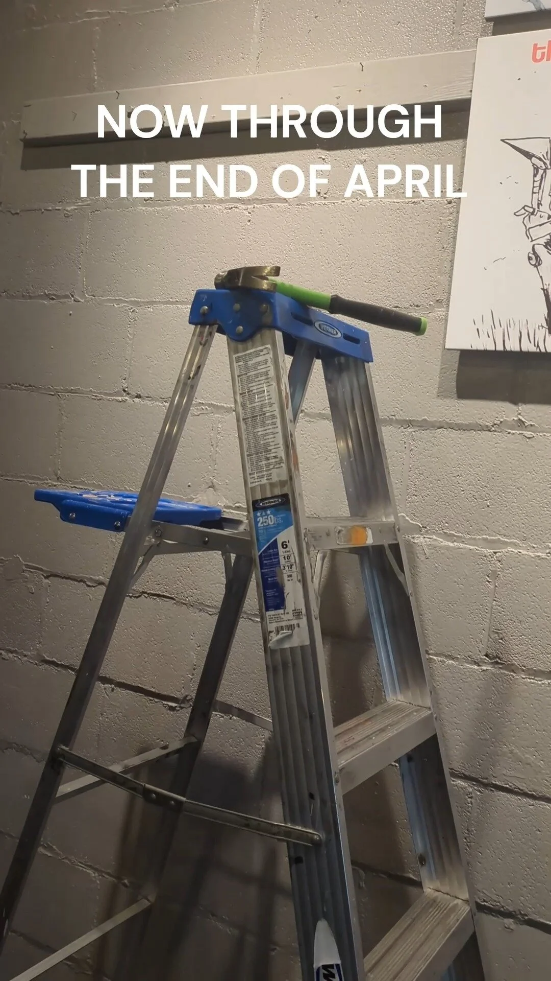 FUNGUS AMONG US — Robot of the month club