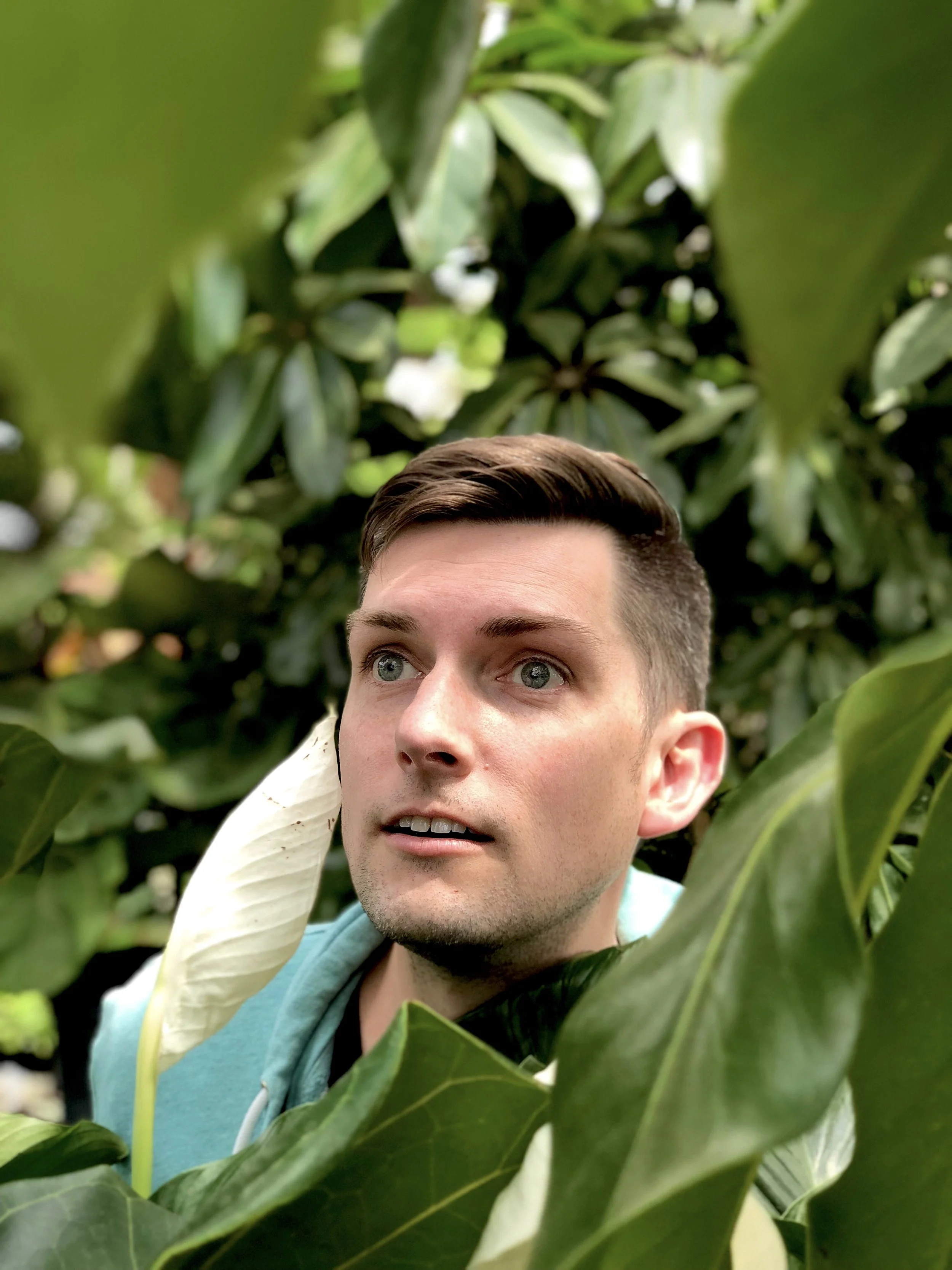 Coma Cinema Stoned Alone