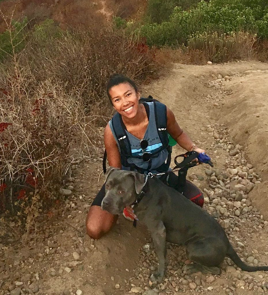 Mutt Scouts — Los Angeles Dog Rescue