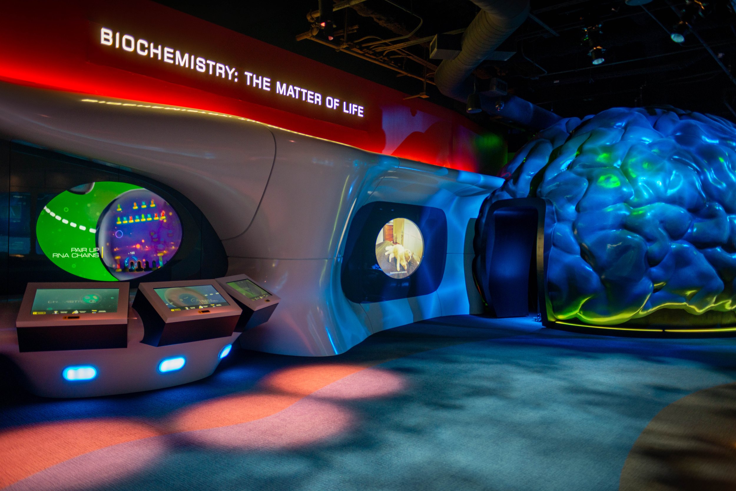 Matter & Motion Chemistry Hall — PBExhibits