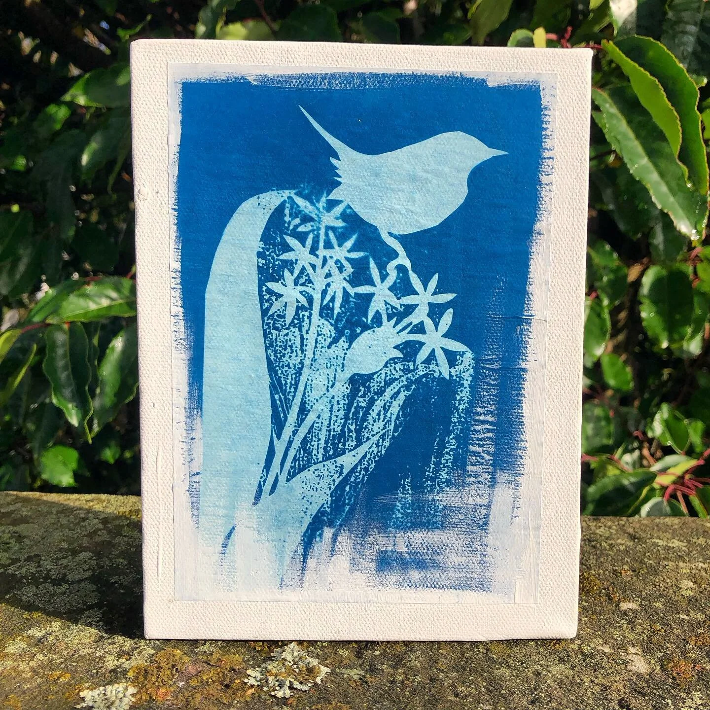 Home — Kim Tillyer - Witchmountain