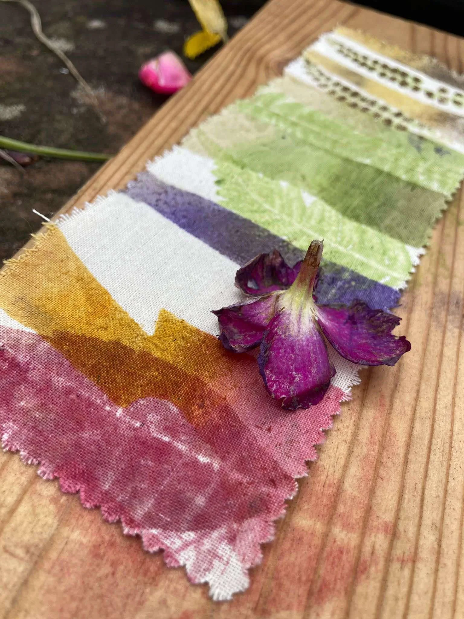 Cyanotype workshops in the Lake District studio of Kim Tillyer — Kim ...