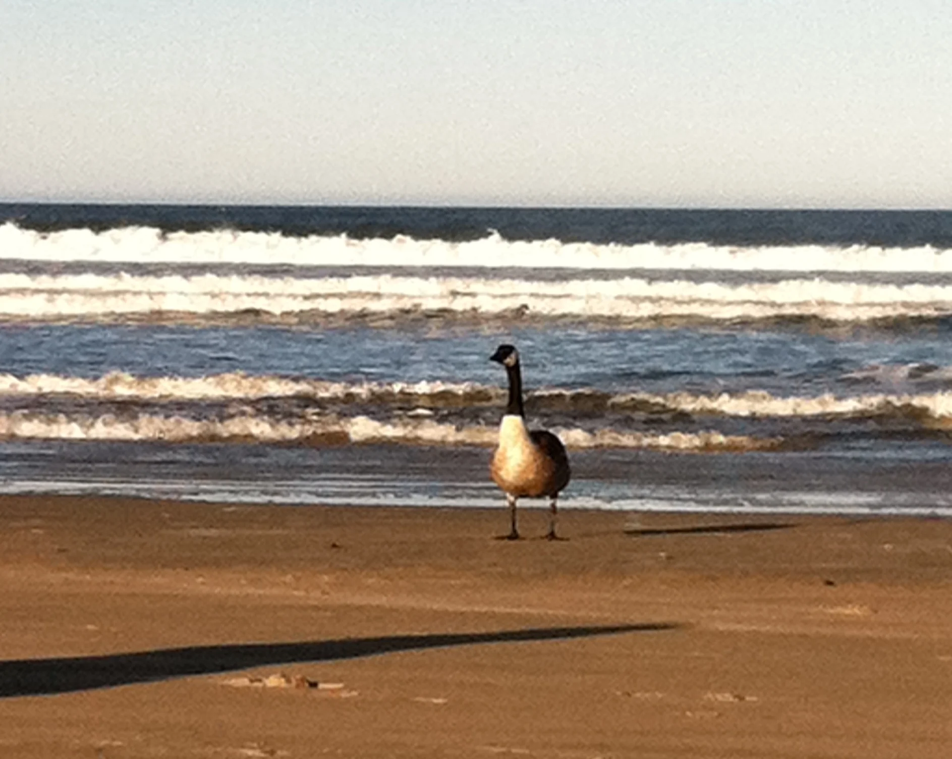 Everyday Creative Coaching — On Being Present: an Endurance Exercise