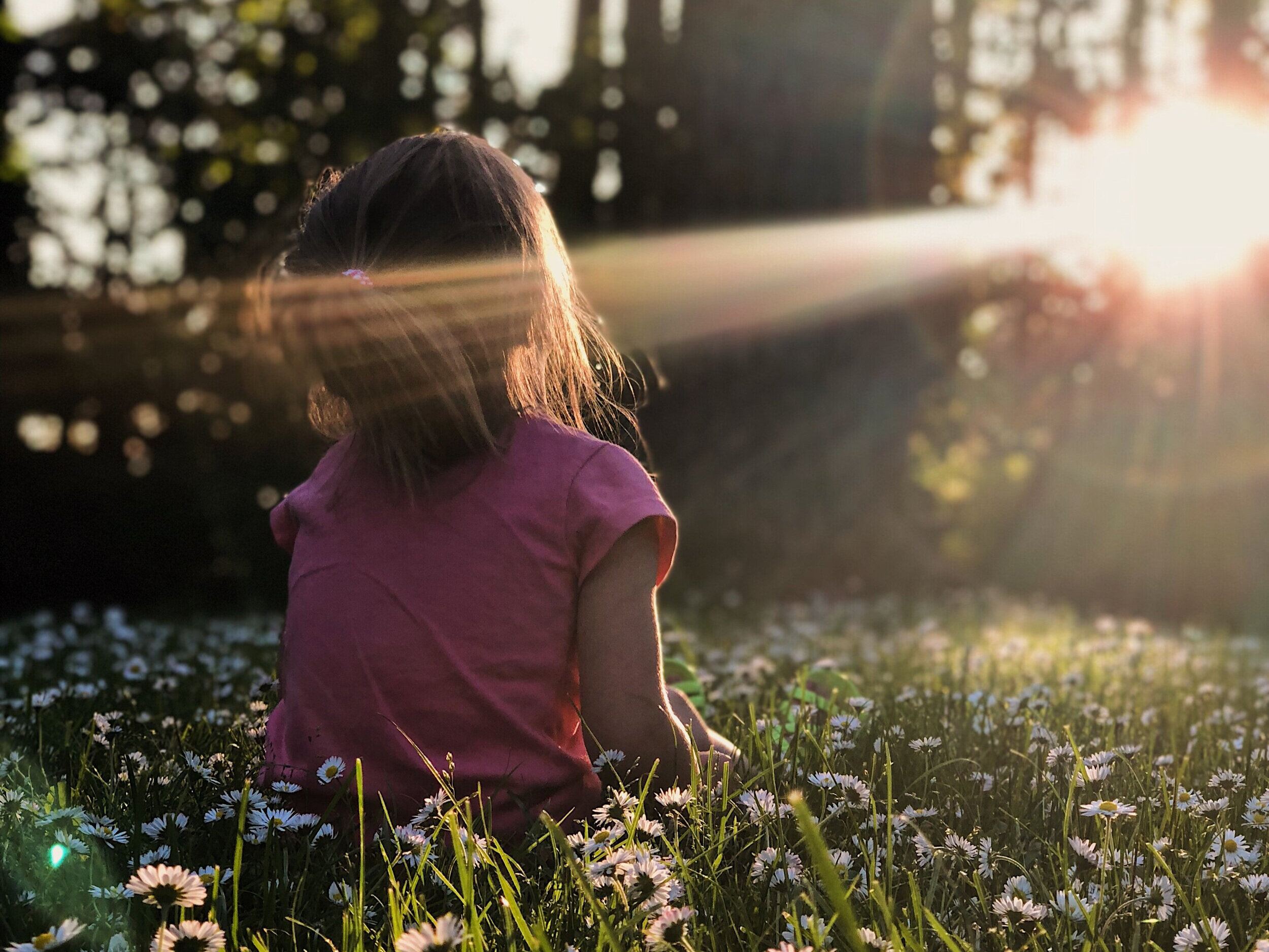 Nature Connection Challenge - Day 69 — Through The Trees