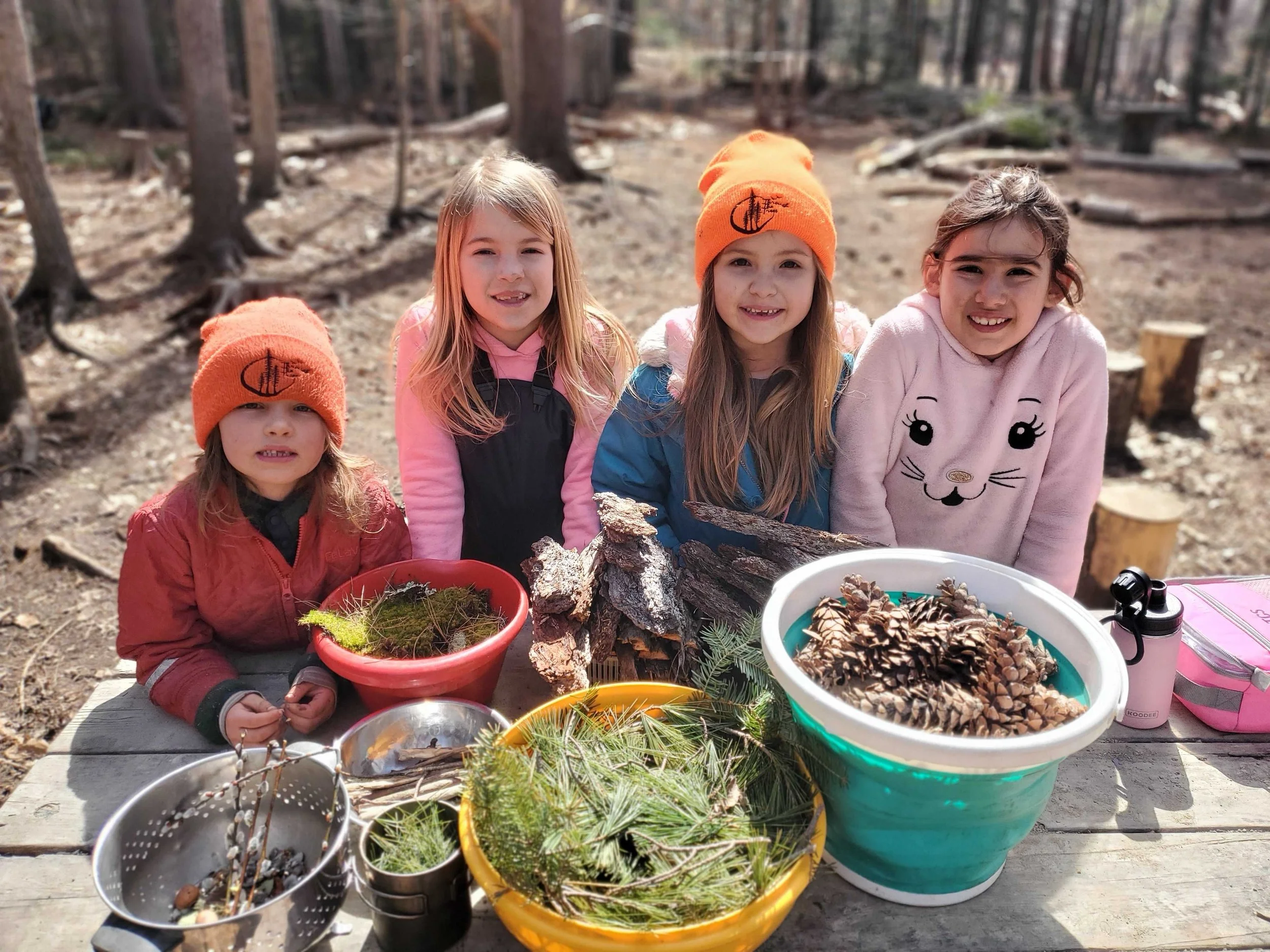 Nature Homeschool Program in Maine — Through The Trees