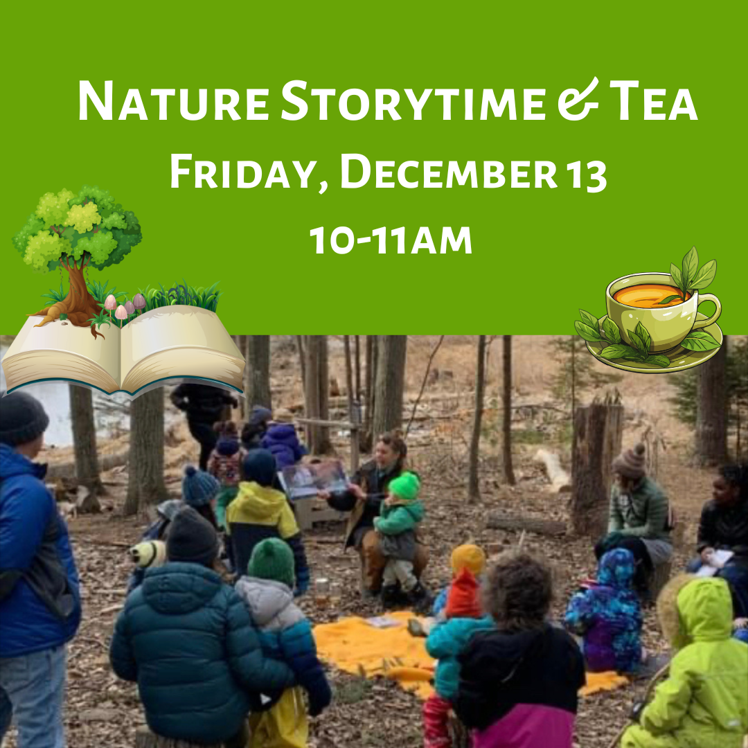 Classes & Events — Through The Trees