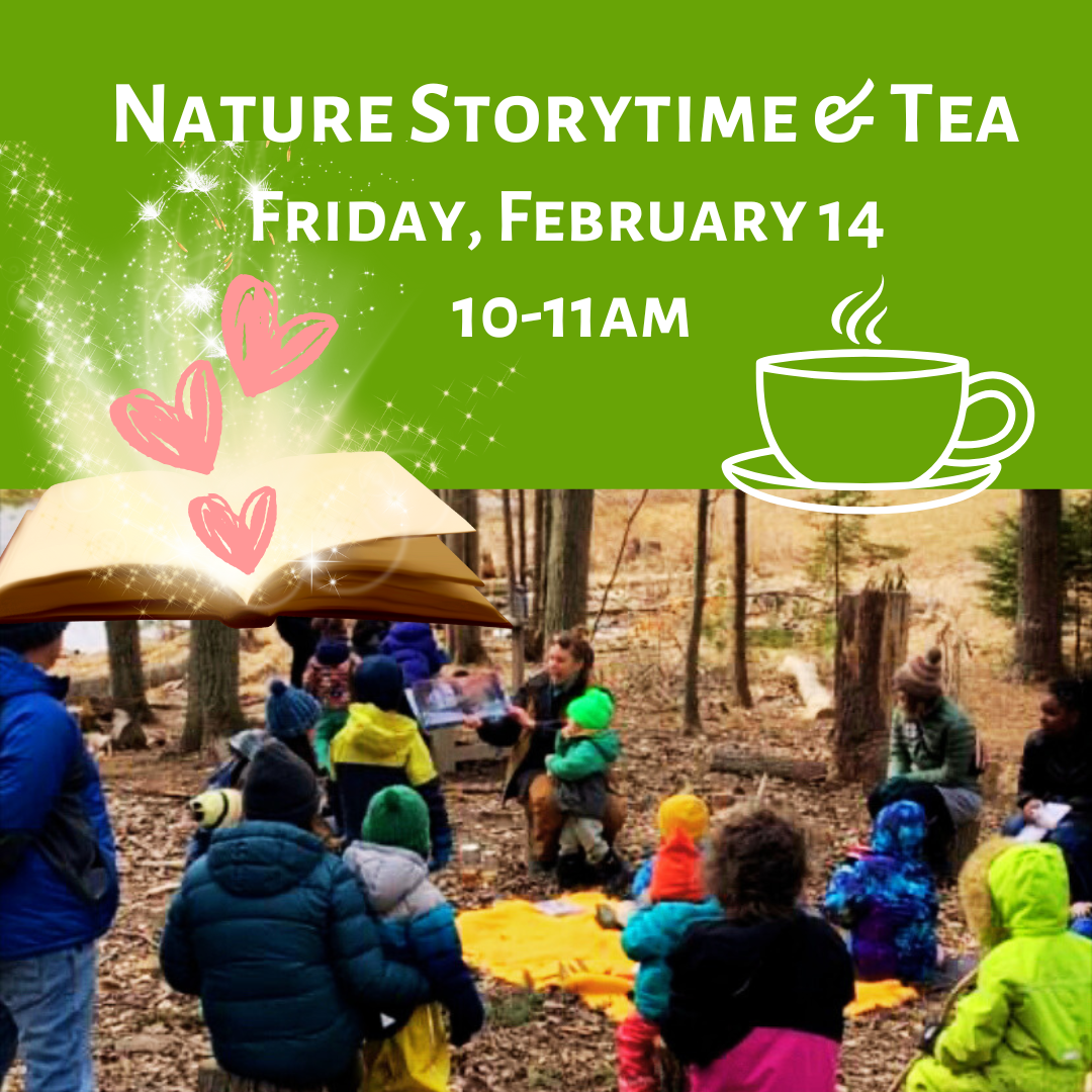 Classes & Events — Through The Trees