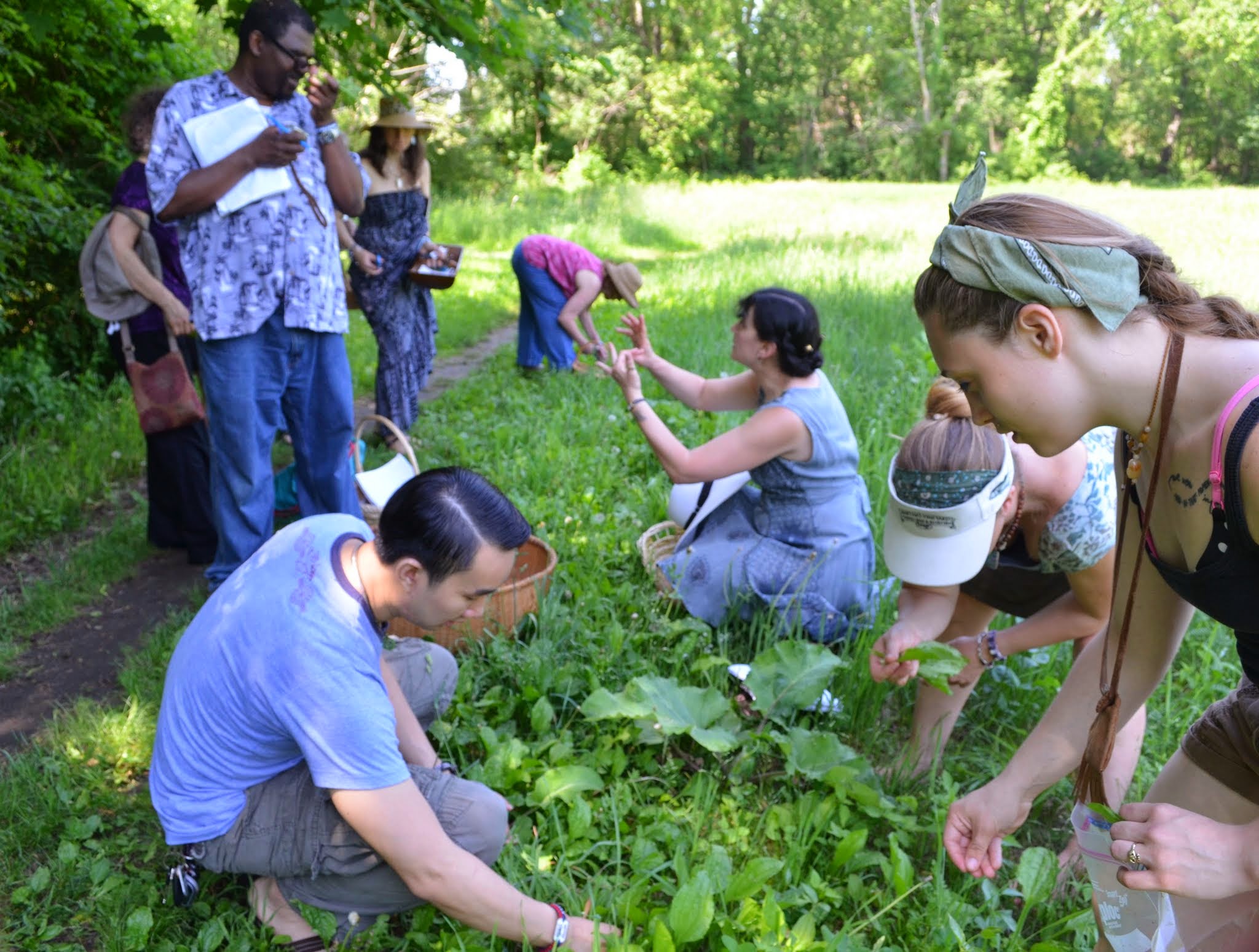 The Boston School of Herbal Studies© The Boston School of Herbal Studies©