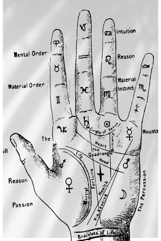 Palm Hand Reading