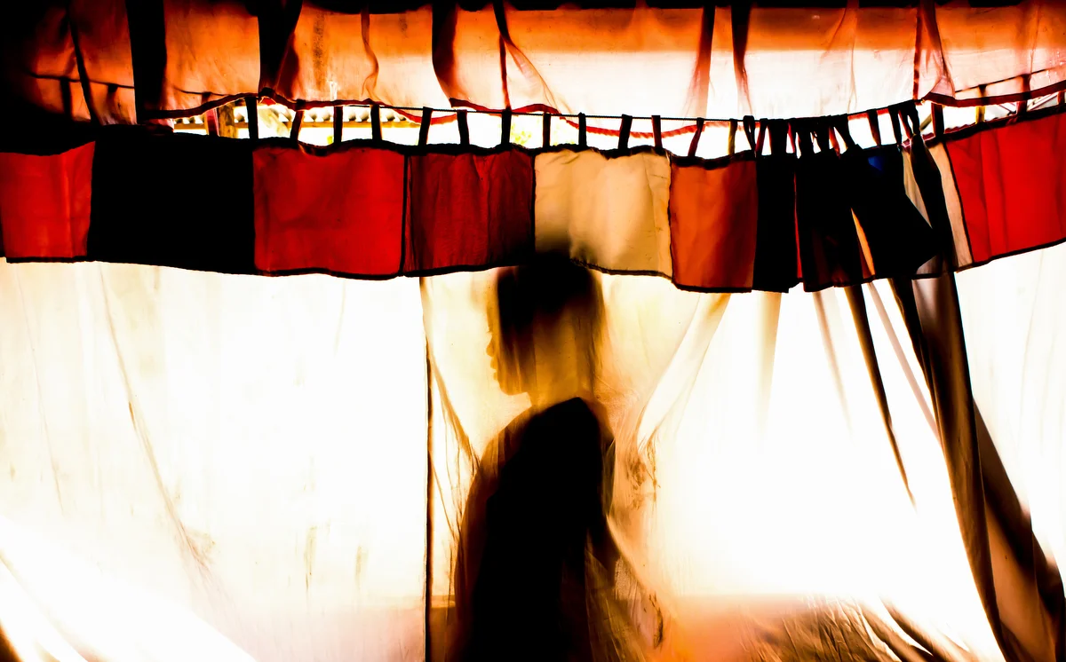 Justin Mott | Editorial Photographer and Wildlife PhotoJournalist