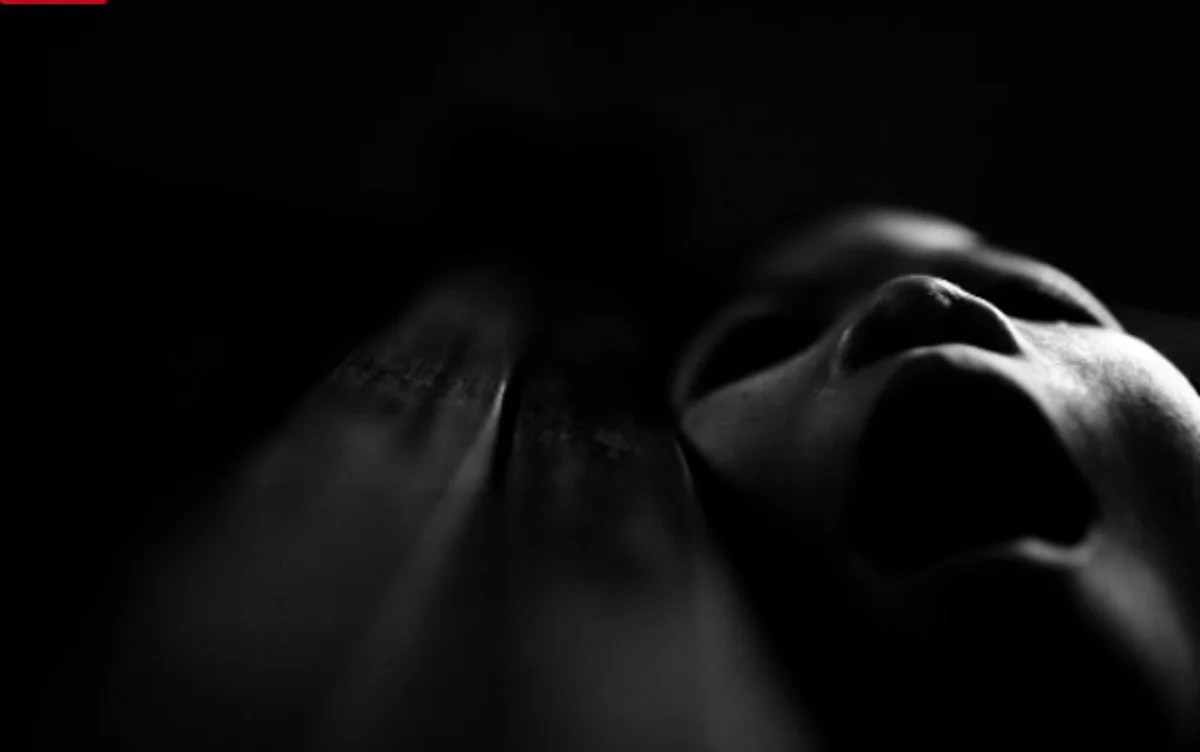 Justin Mott | Editorial Photographer and Wildlife PhotoJournalist