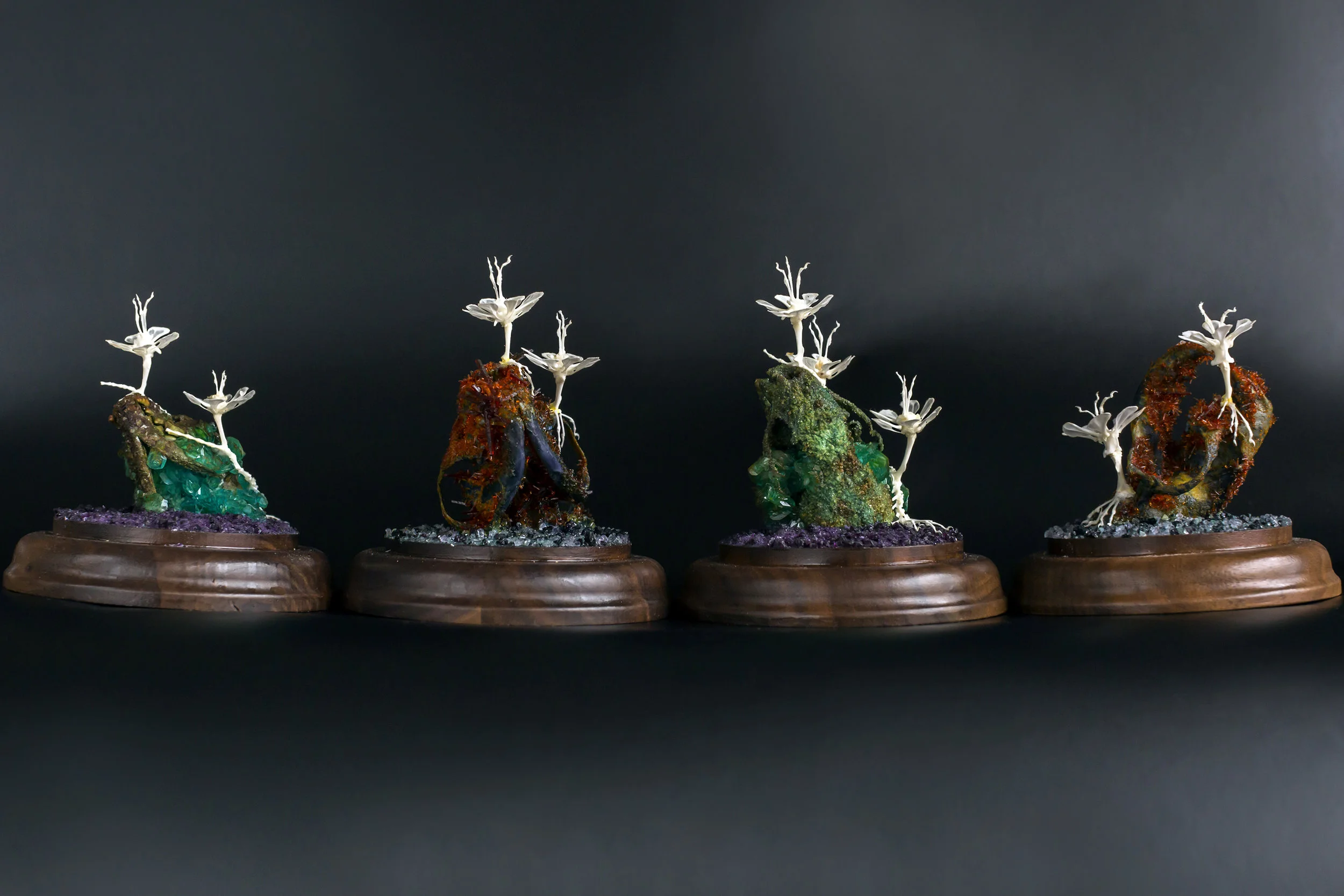 Bloom (2018) — Gerard Geer