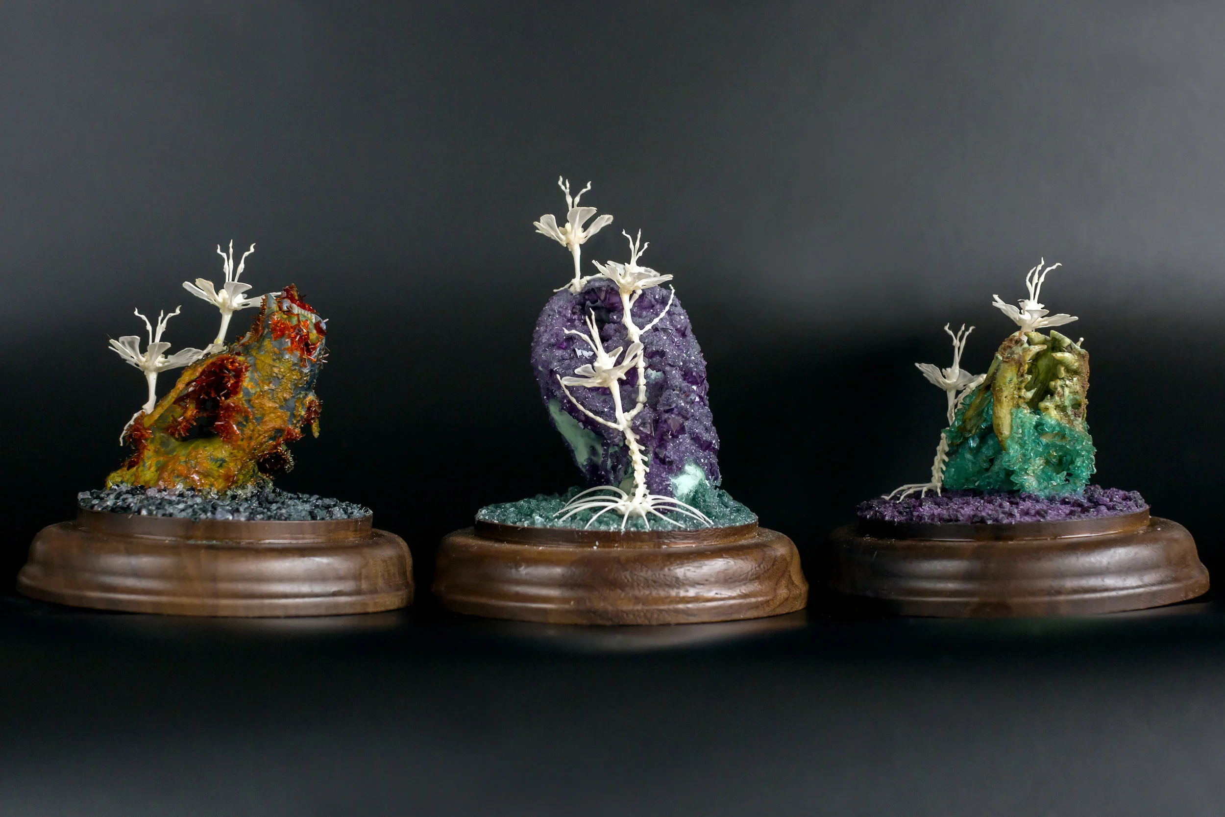 Bloom (2018) — Gerard Geer