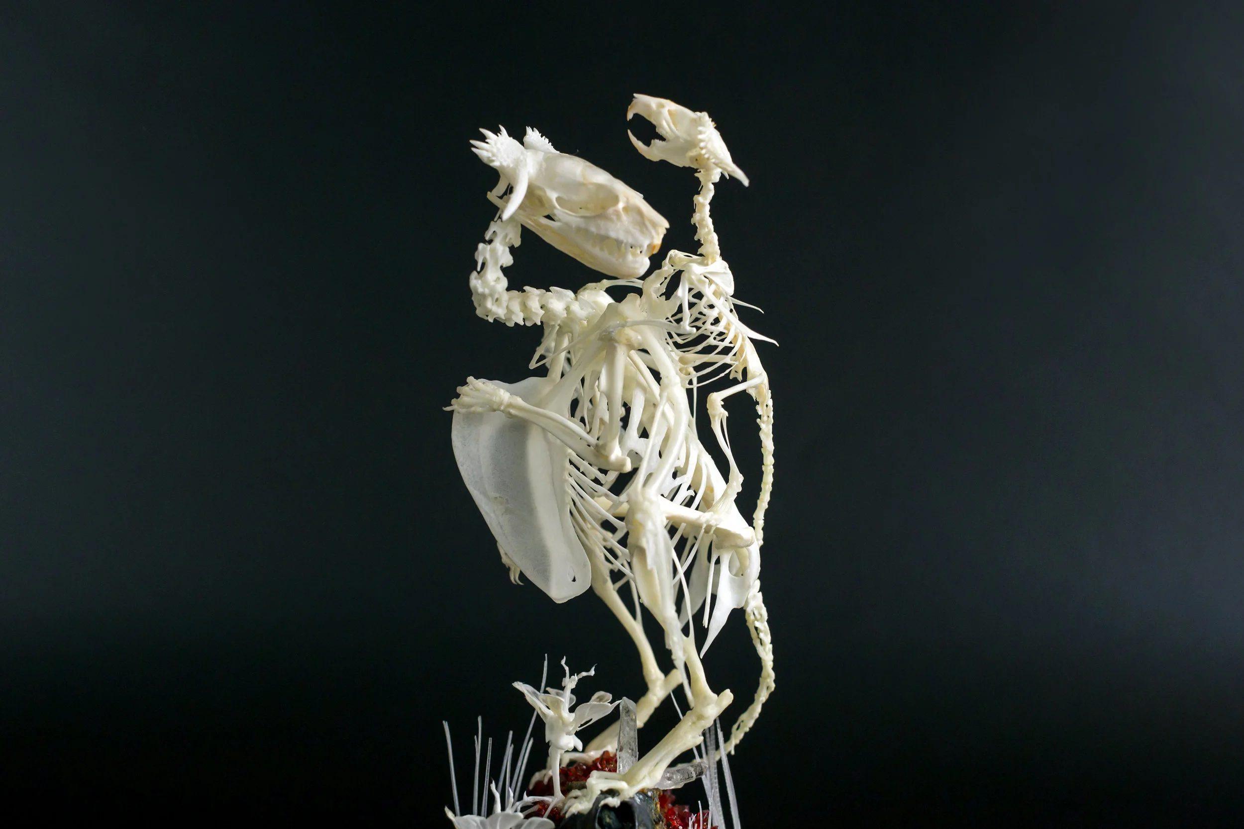 Bloom (2018) — Gerard Geer