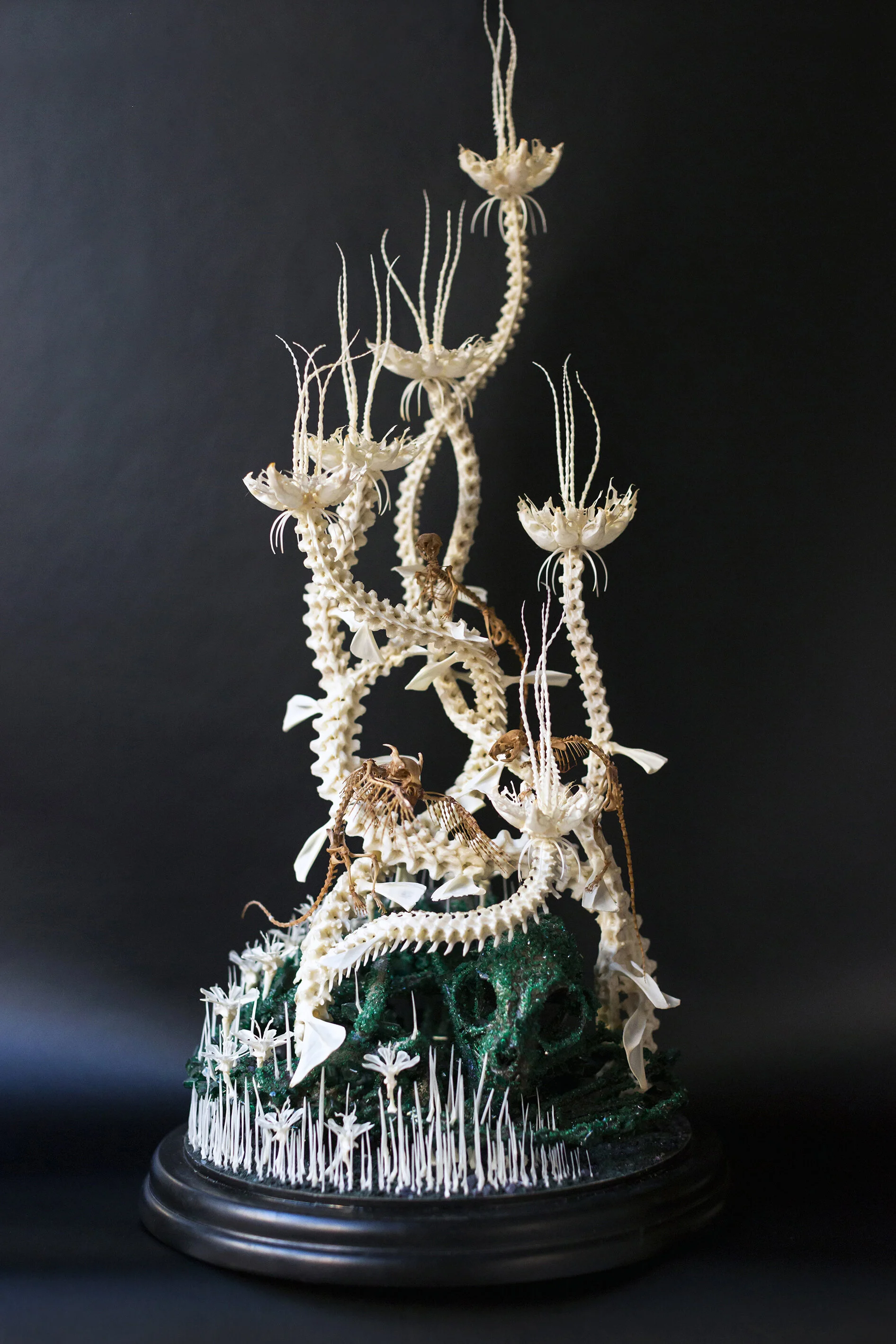 Metamorphosis (2020) — Gerard Geer