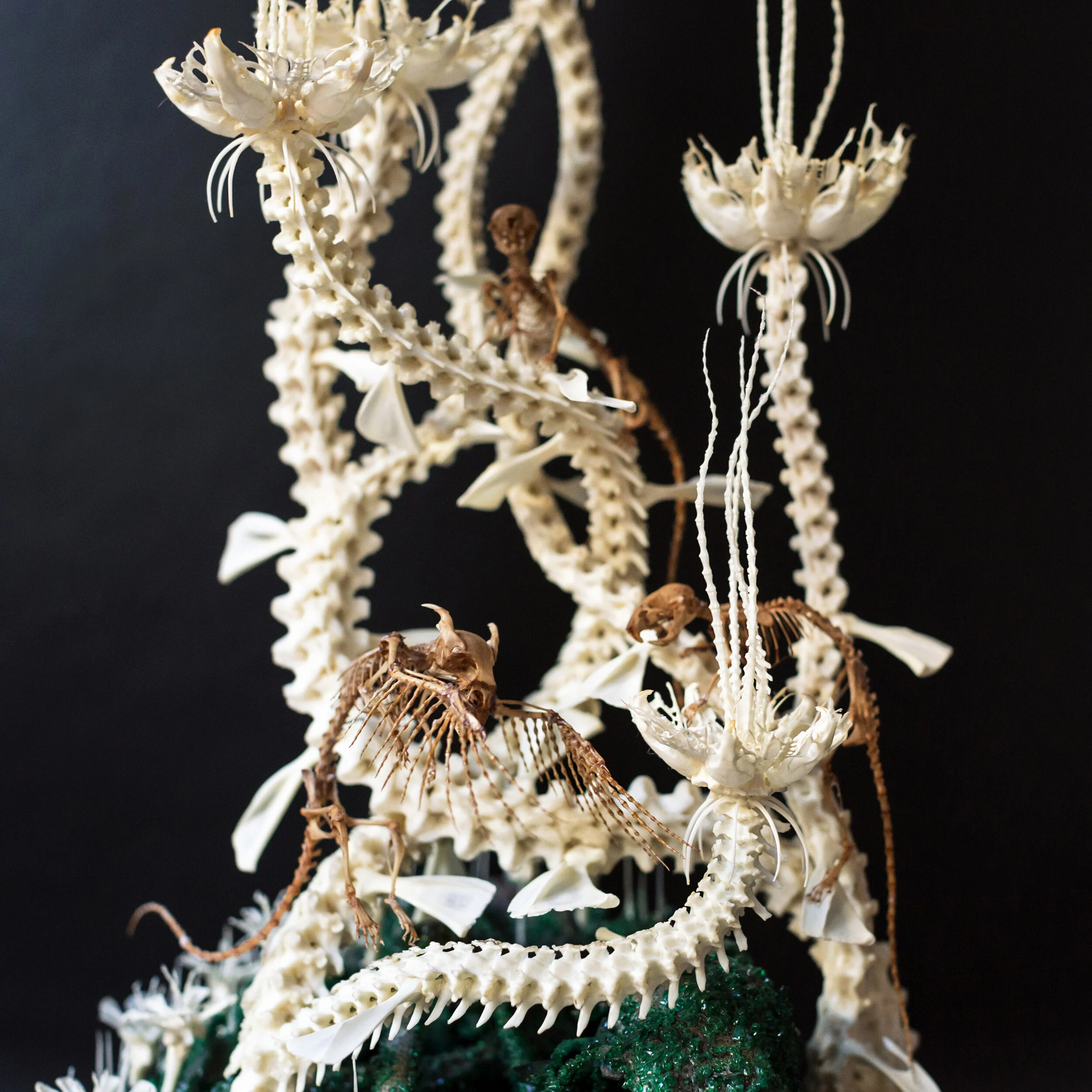 Metamorphosis (2020) — Gerard Geer