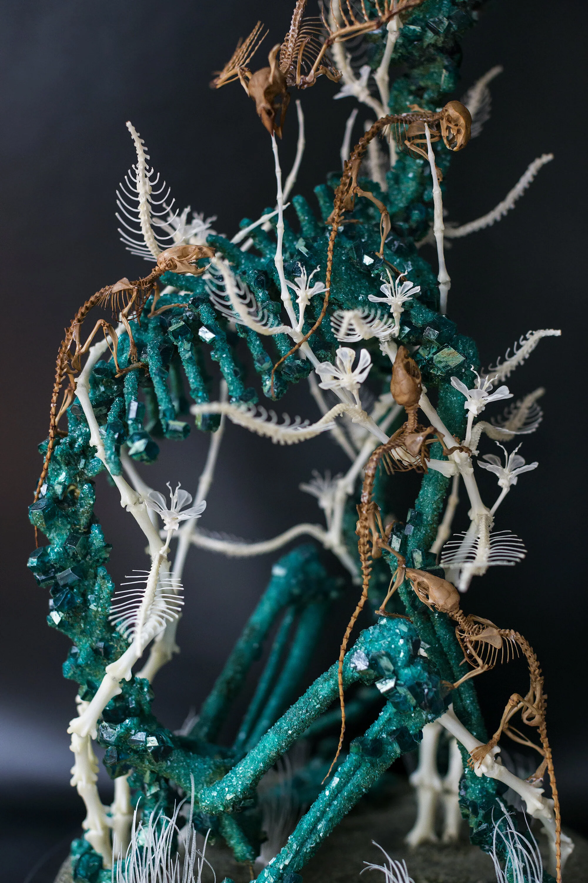 Metamorphosis (2020) — Gerard Geer