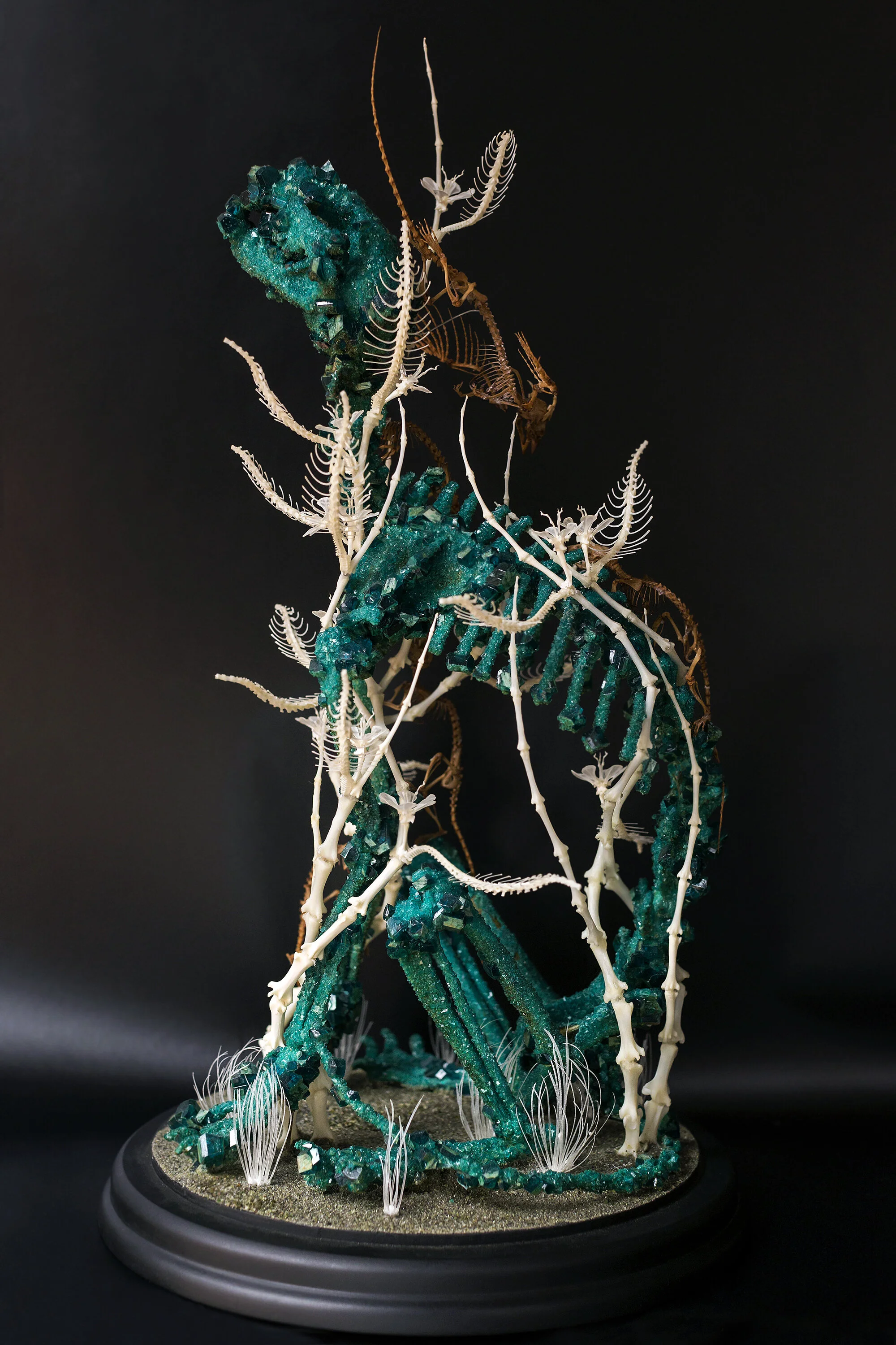 Metamorphosis (2020) — Gerard Geer