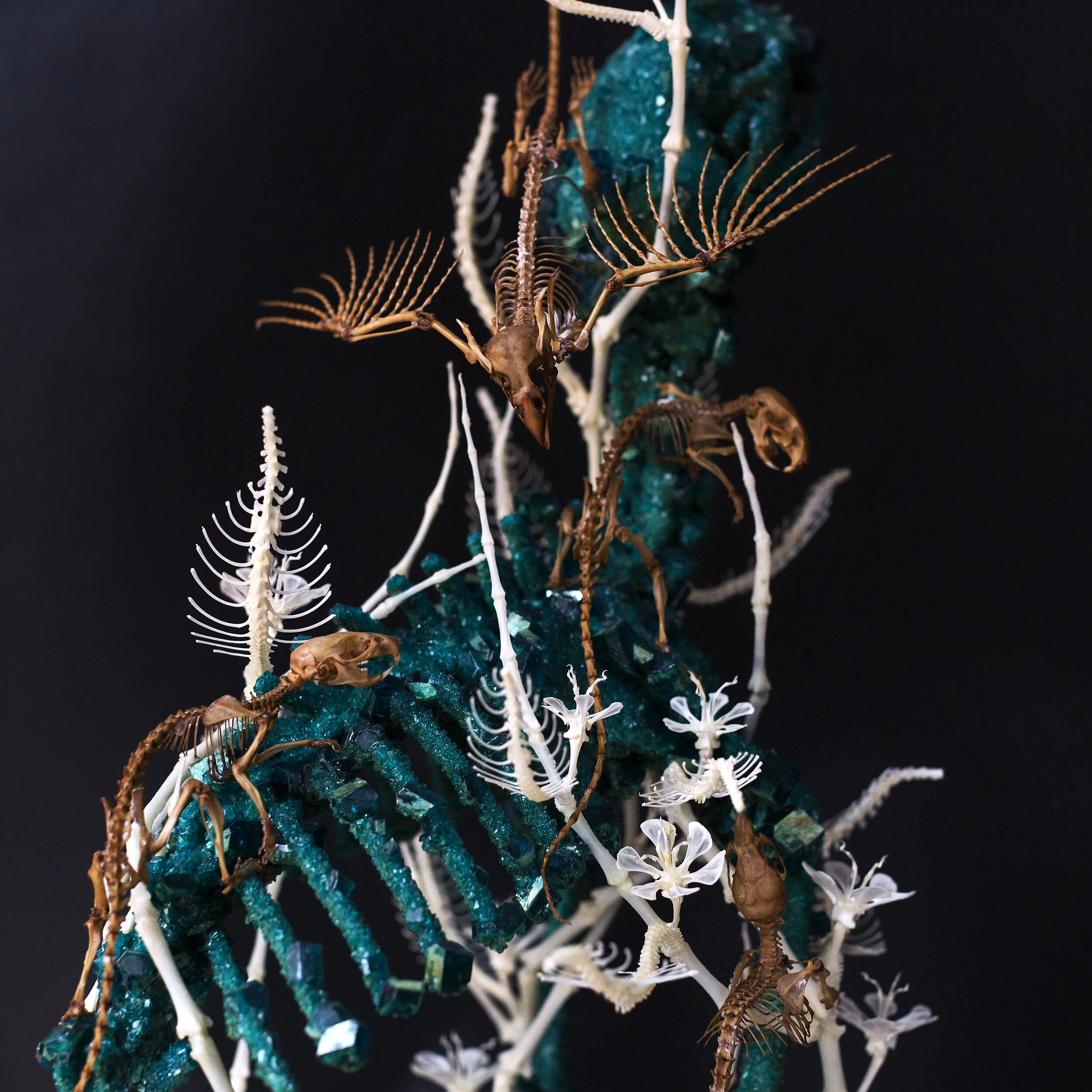 Metamorphosis (2020) — Gerard Geer