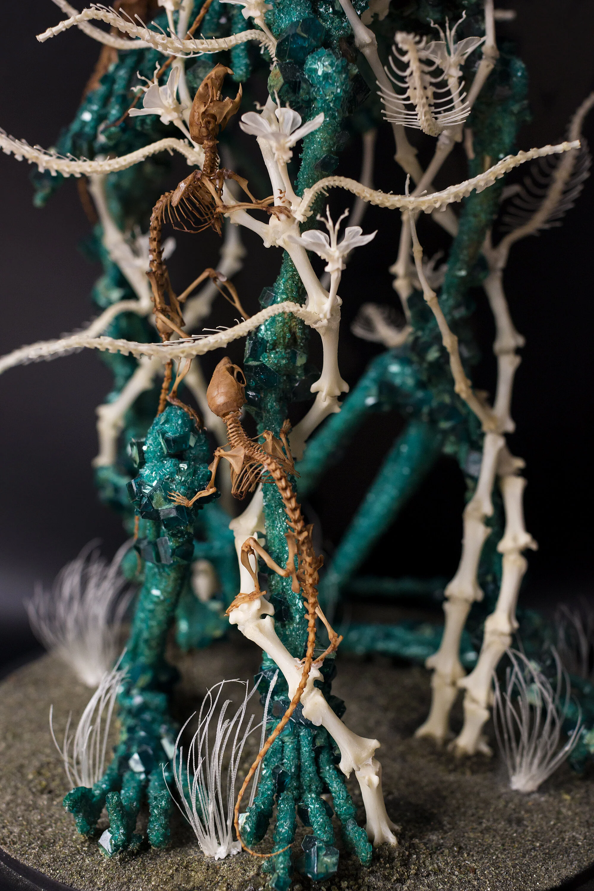 Metamorphosis (2020) — Gerard Geer