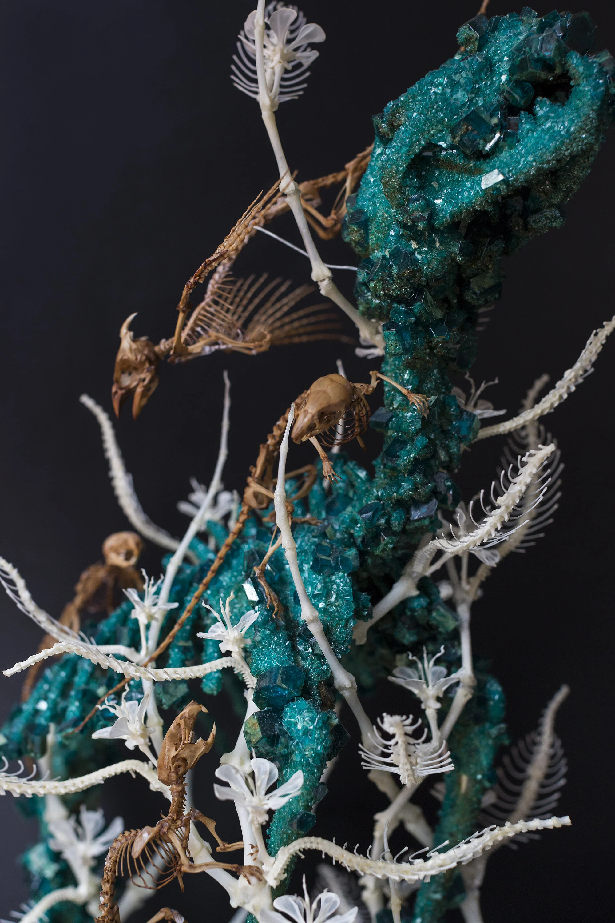 Metamorphosis (2020) — Gerard Geer