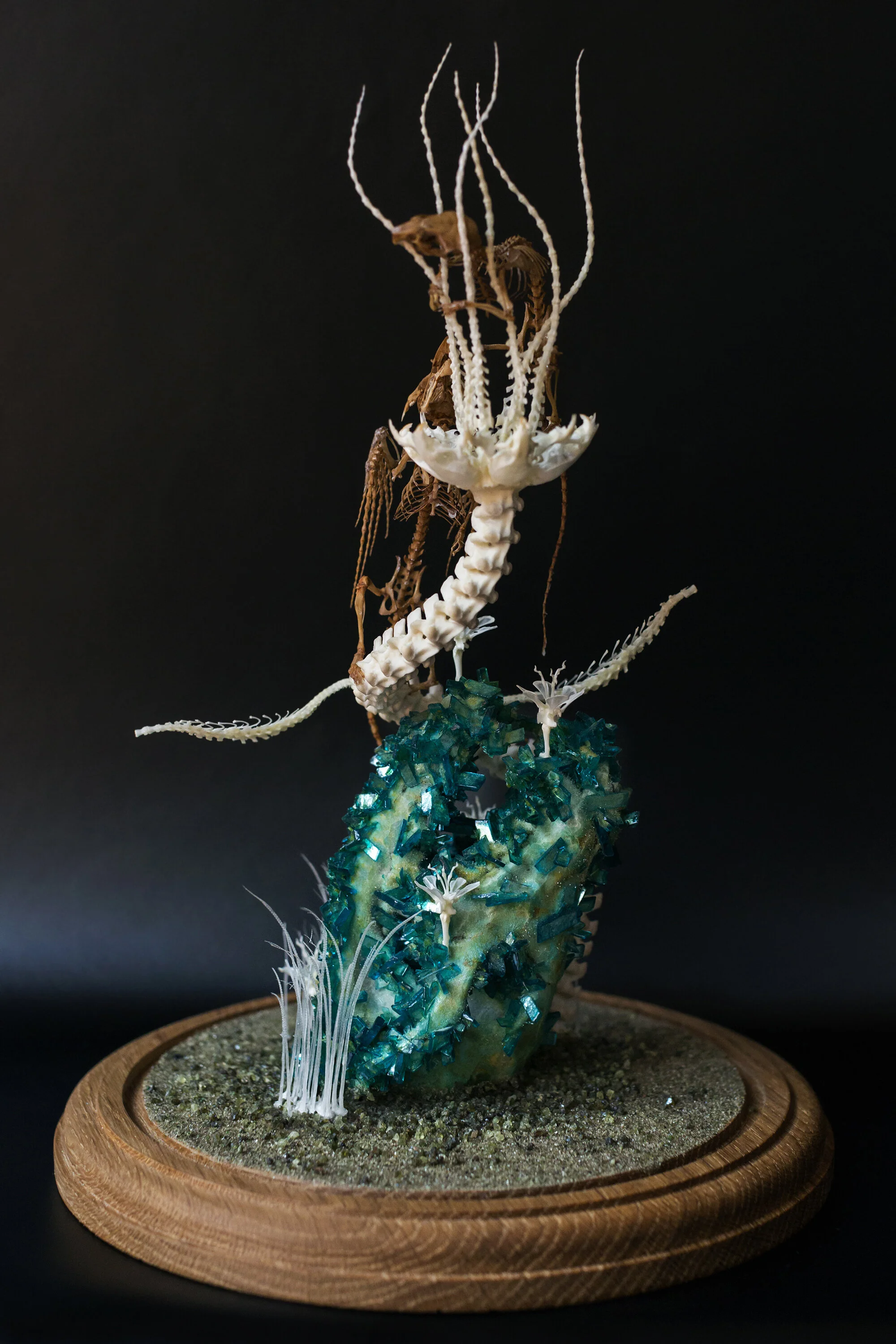 Metamorphosis (2020) — Gerard Geer