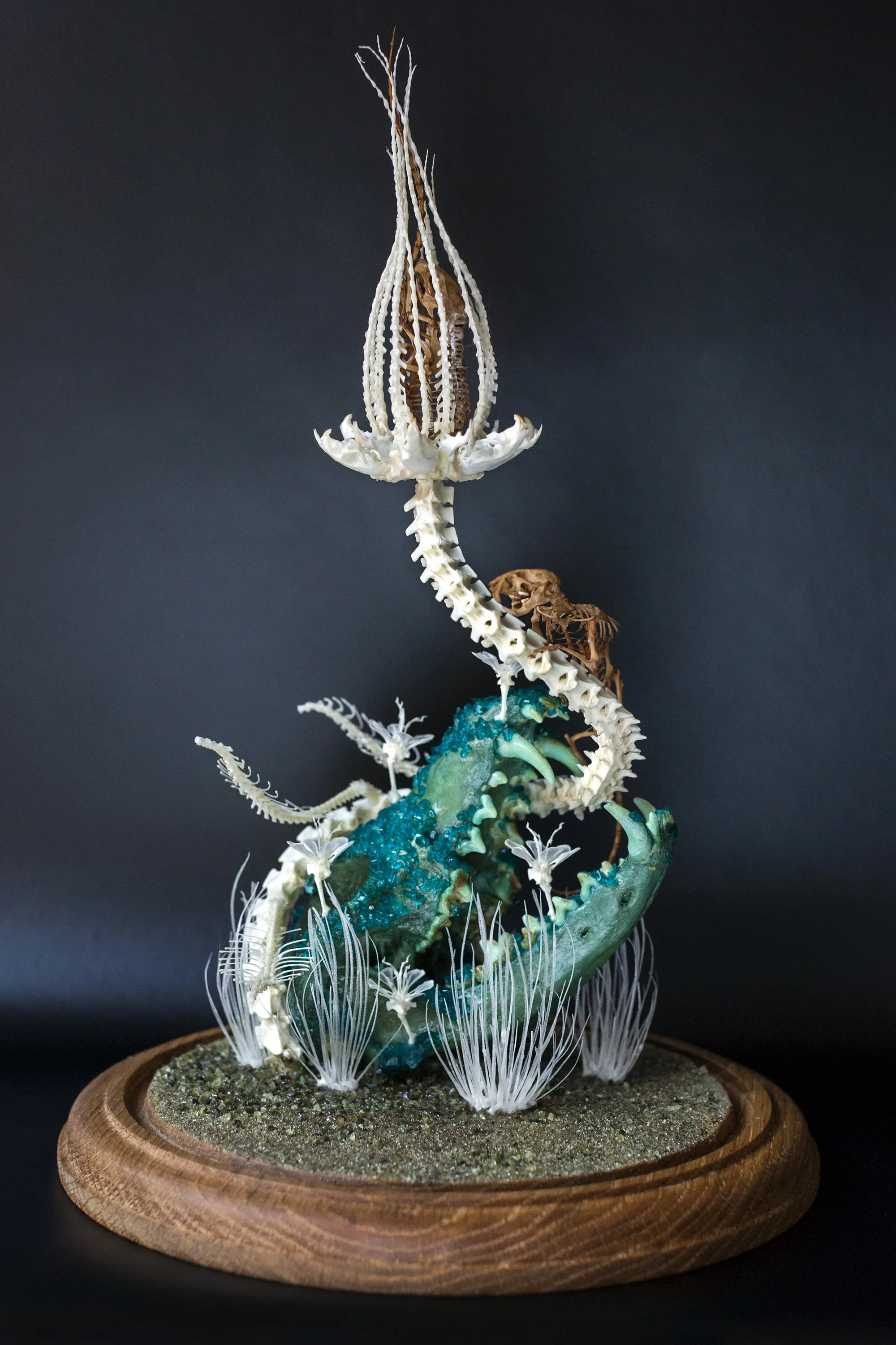 Metamorphosis (2020) — Gerard Geer