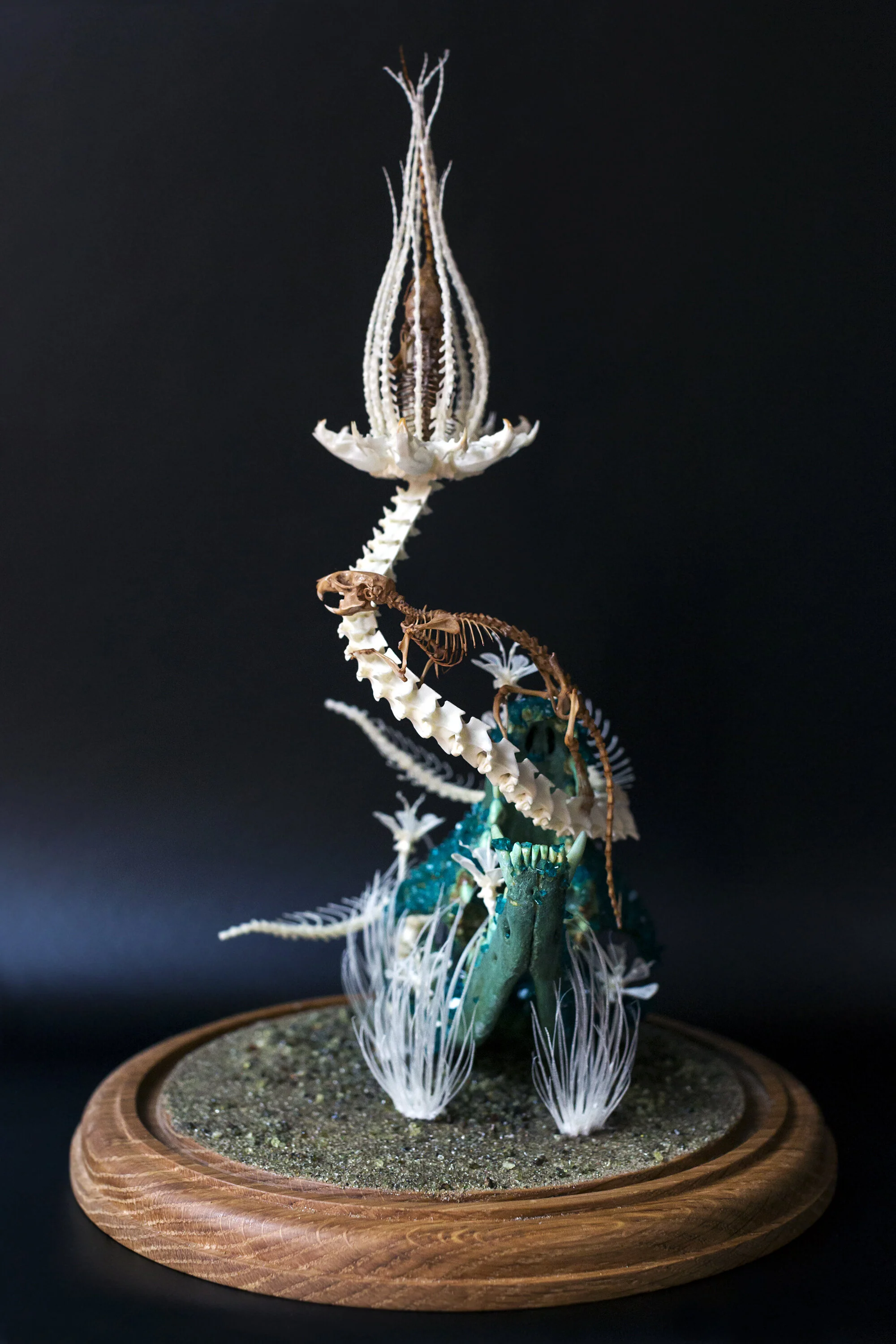 Metamorphosis (2020) — Gerard Geer