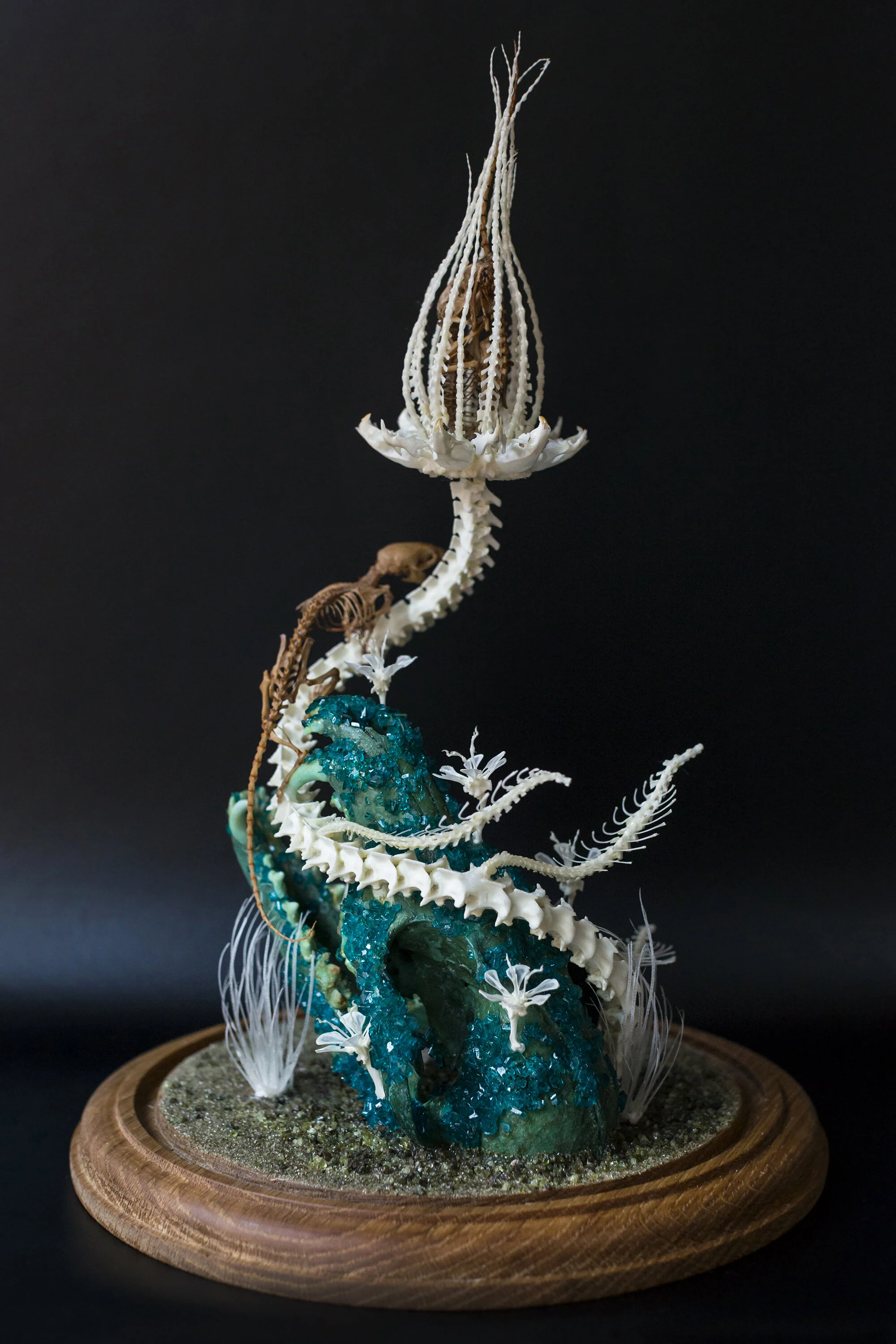 Metamorphosis (2020) — Gerard Geer