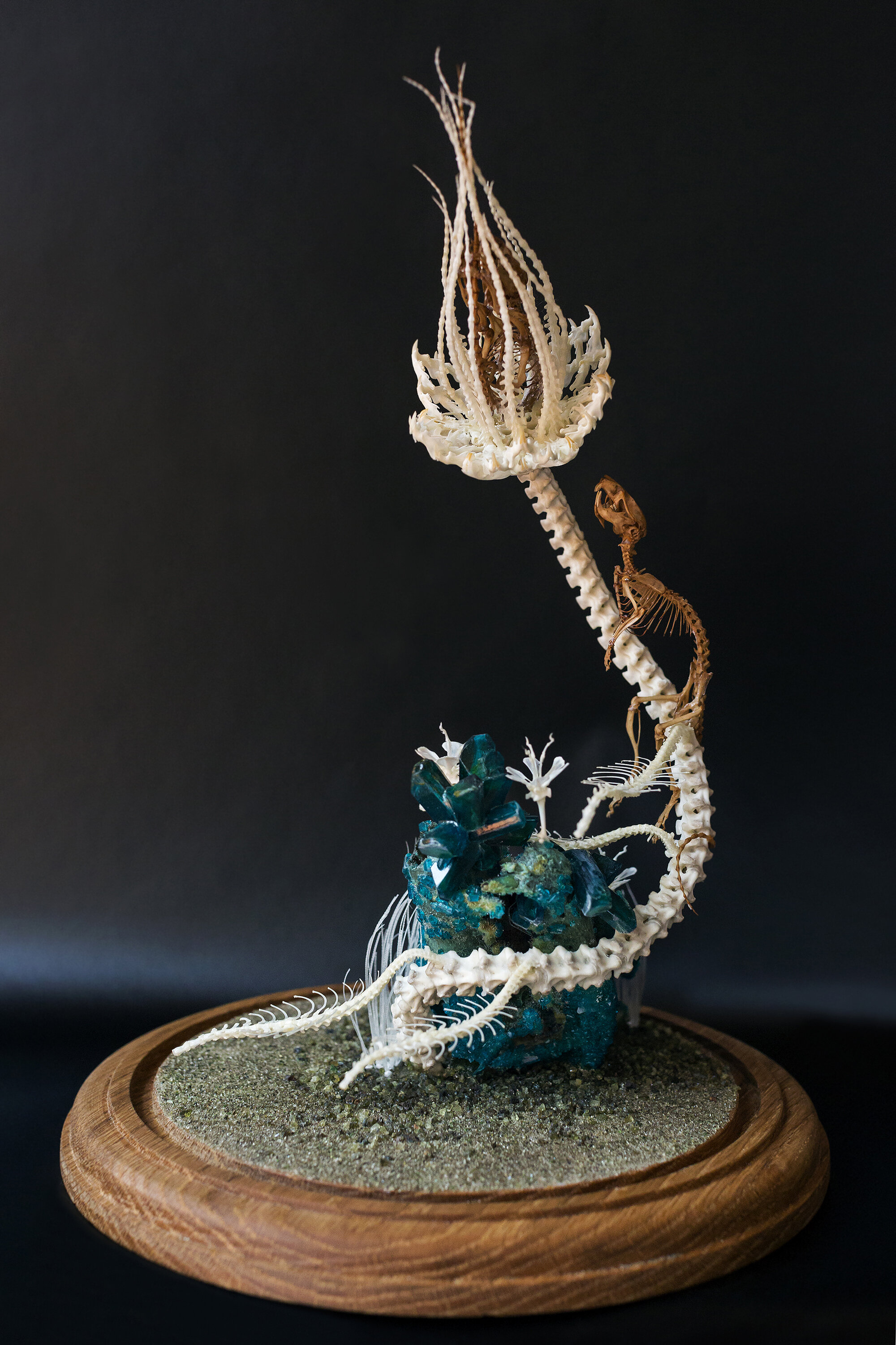 Metamorphosis (2020) — Gerard Geer