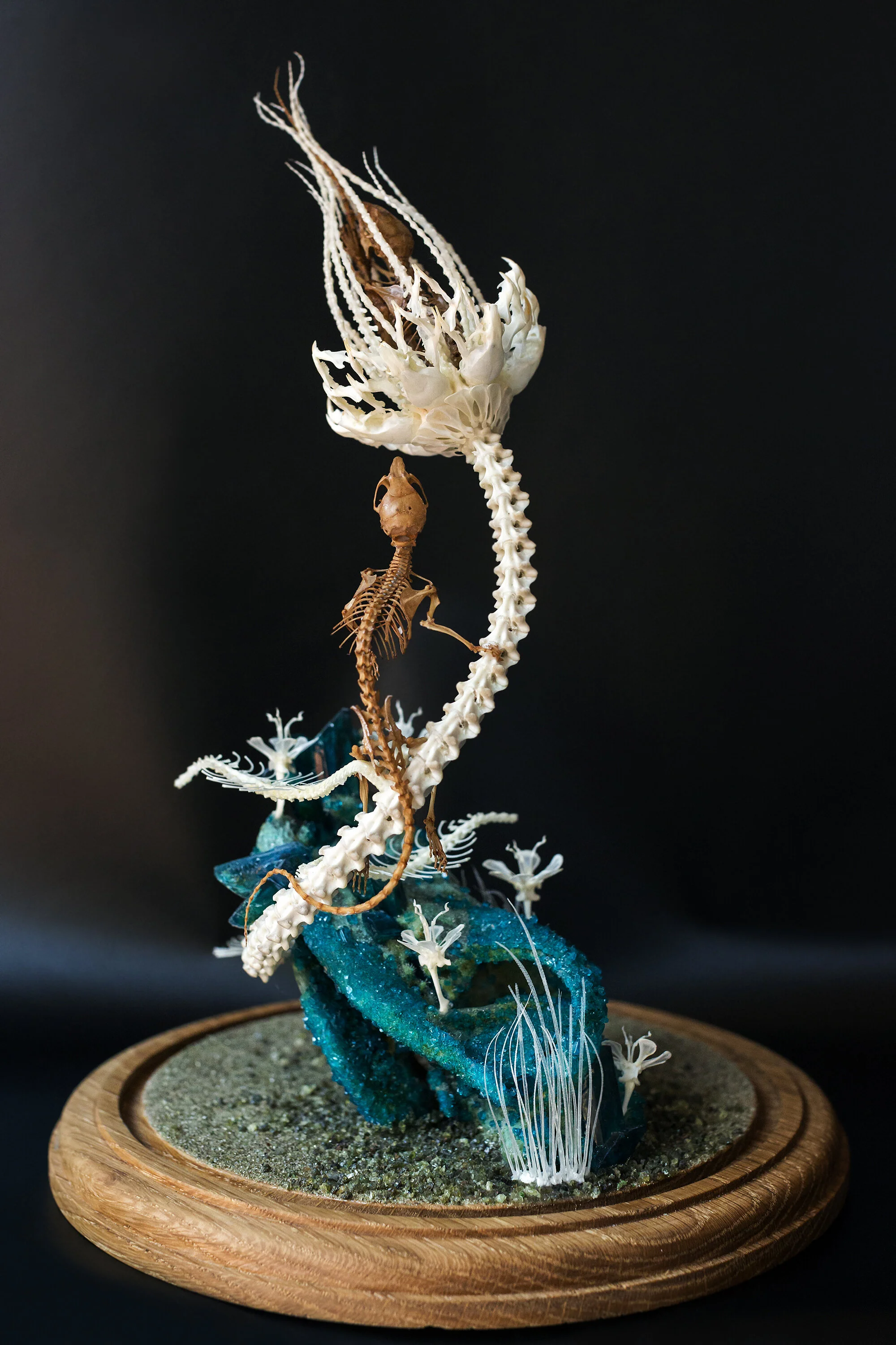 Metamorphosis (2020) — Gerard Geer