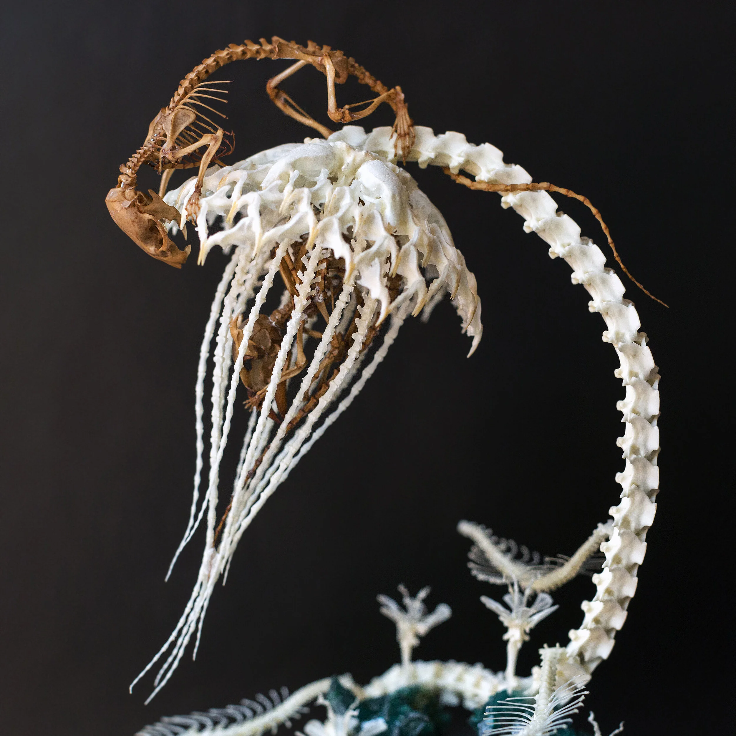 Metamorphosis (2020) — Gerard Geer