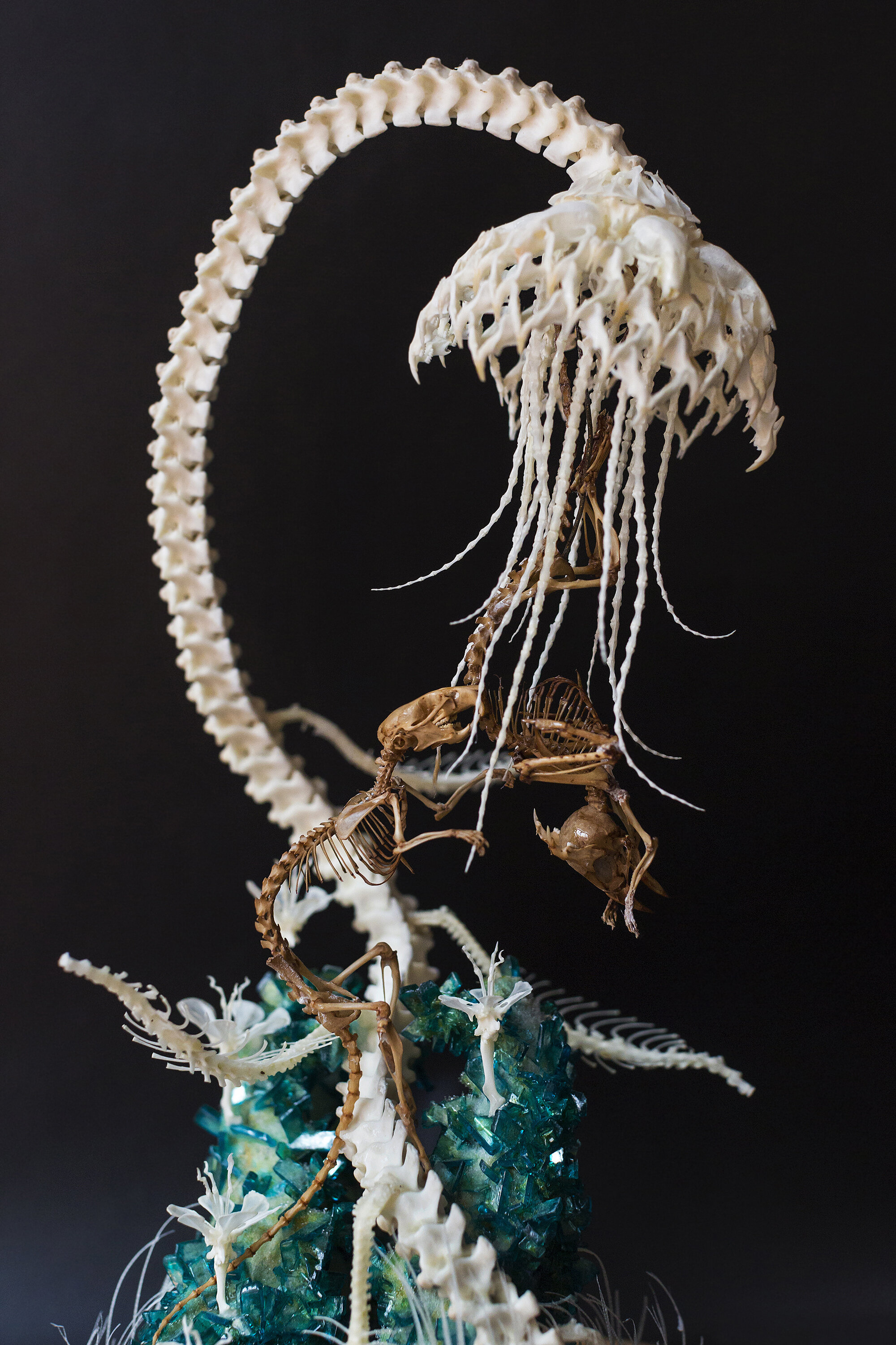 Metamorphosis (2020) — Gerard Geer