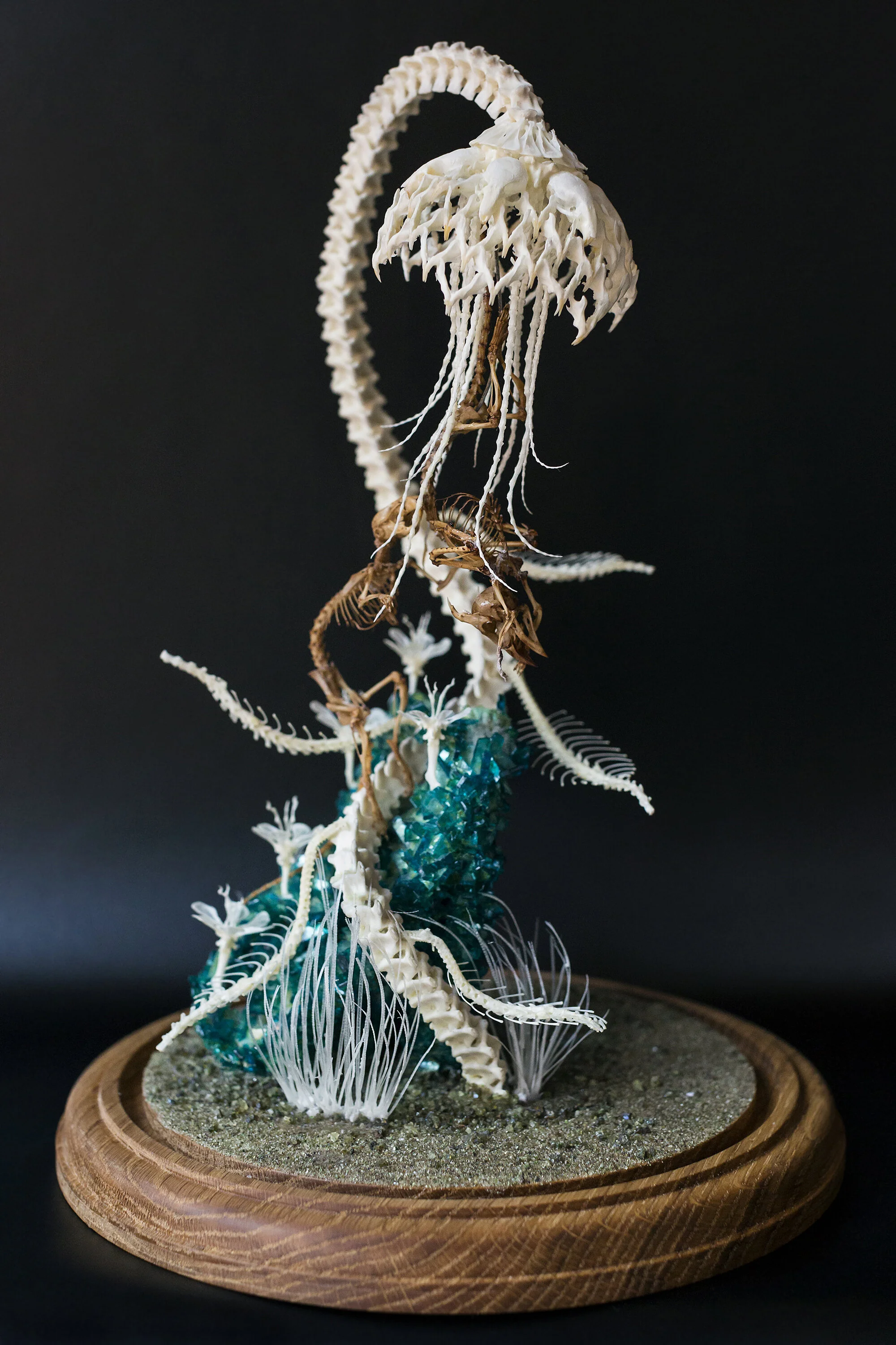 Metamorphosis (2020) — Gerard Geer