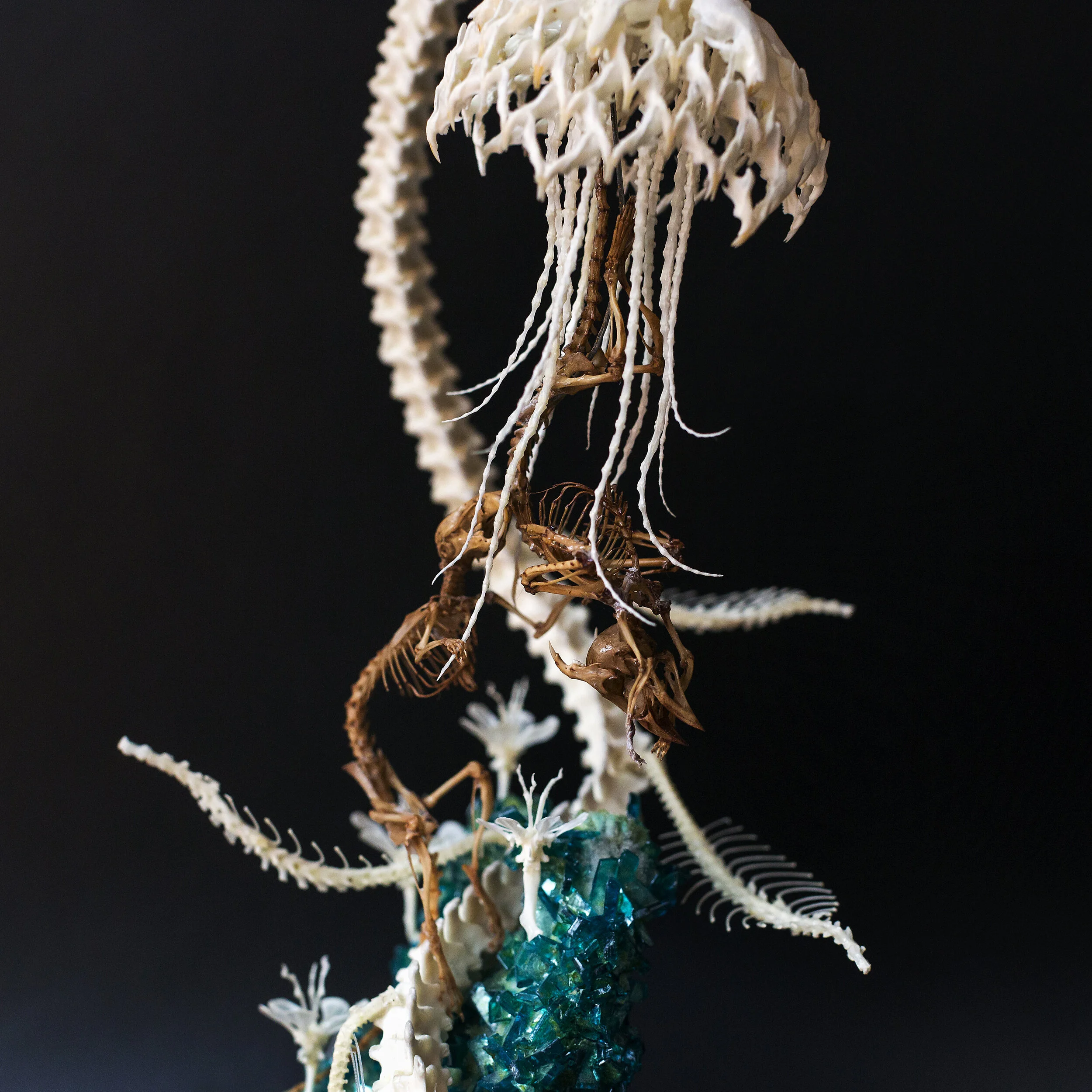 Metamorphosis (2020) — Gerard Geer