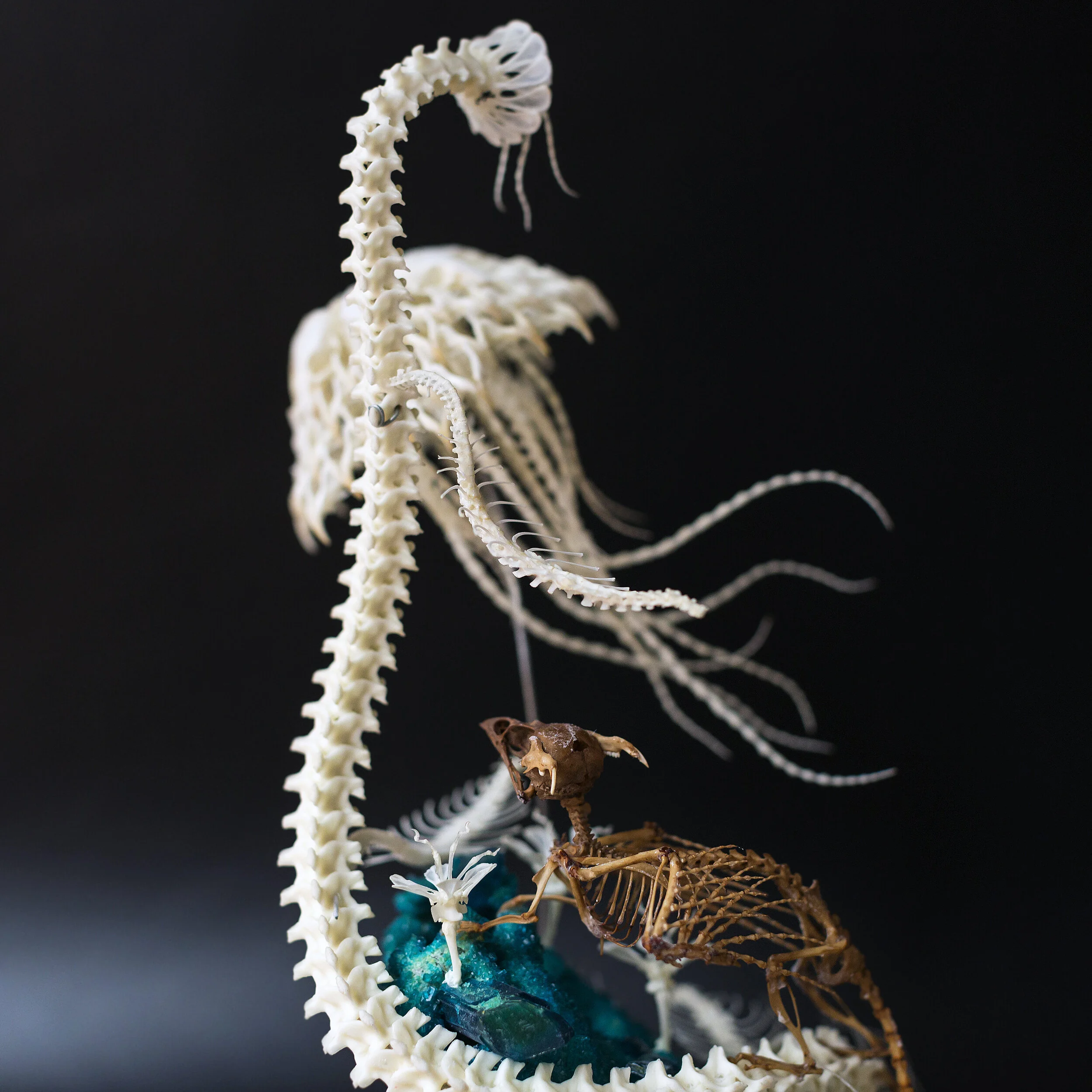 Metamorphosis (2020) — Gerard Geer