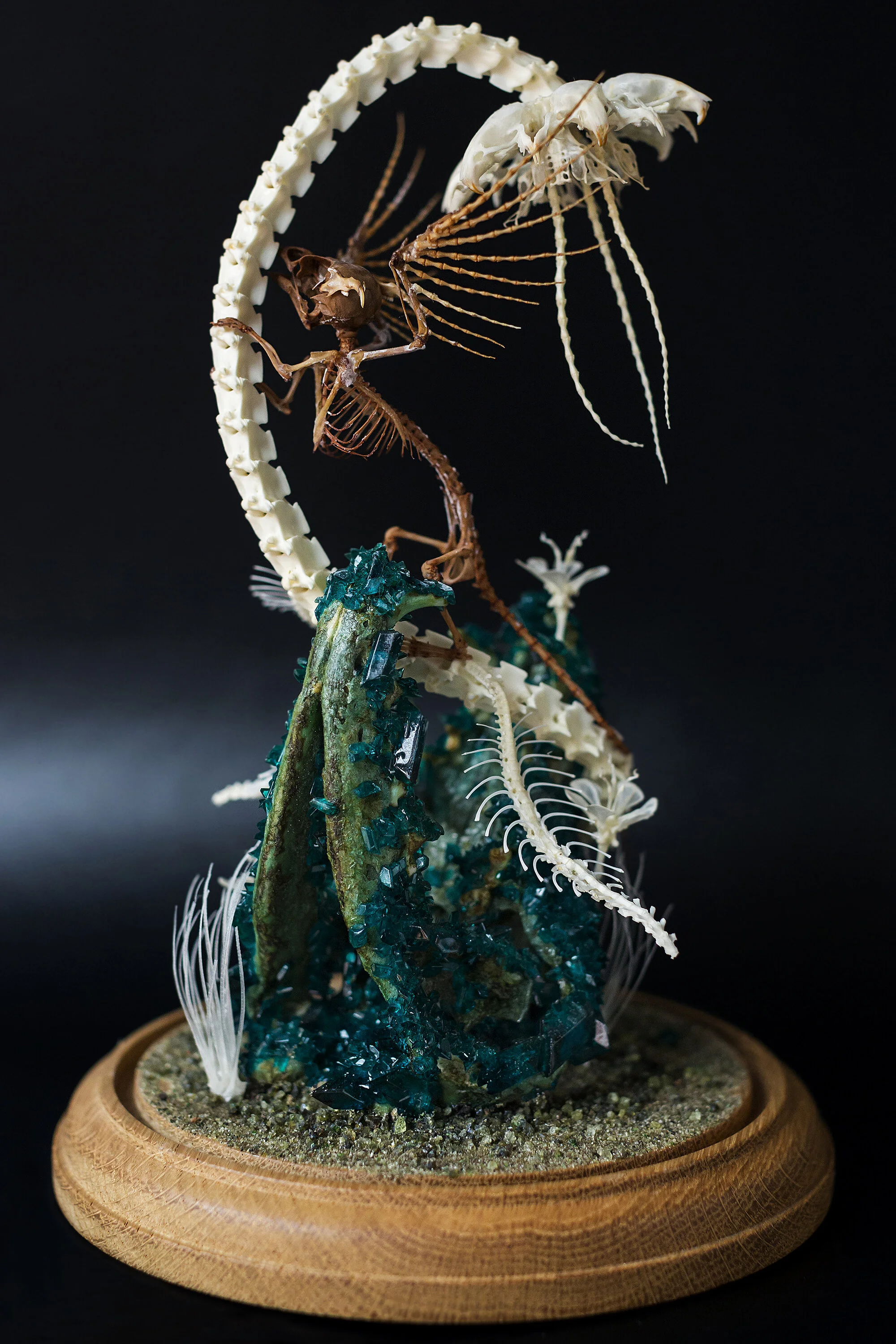 Metamorphosis (2020) — Gerard Geer