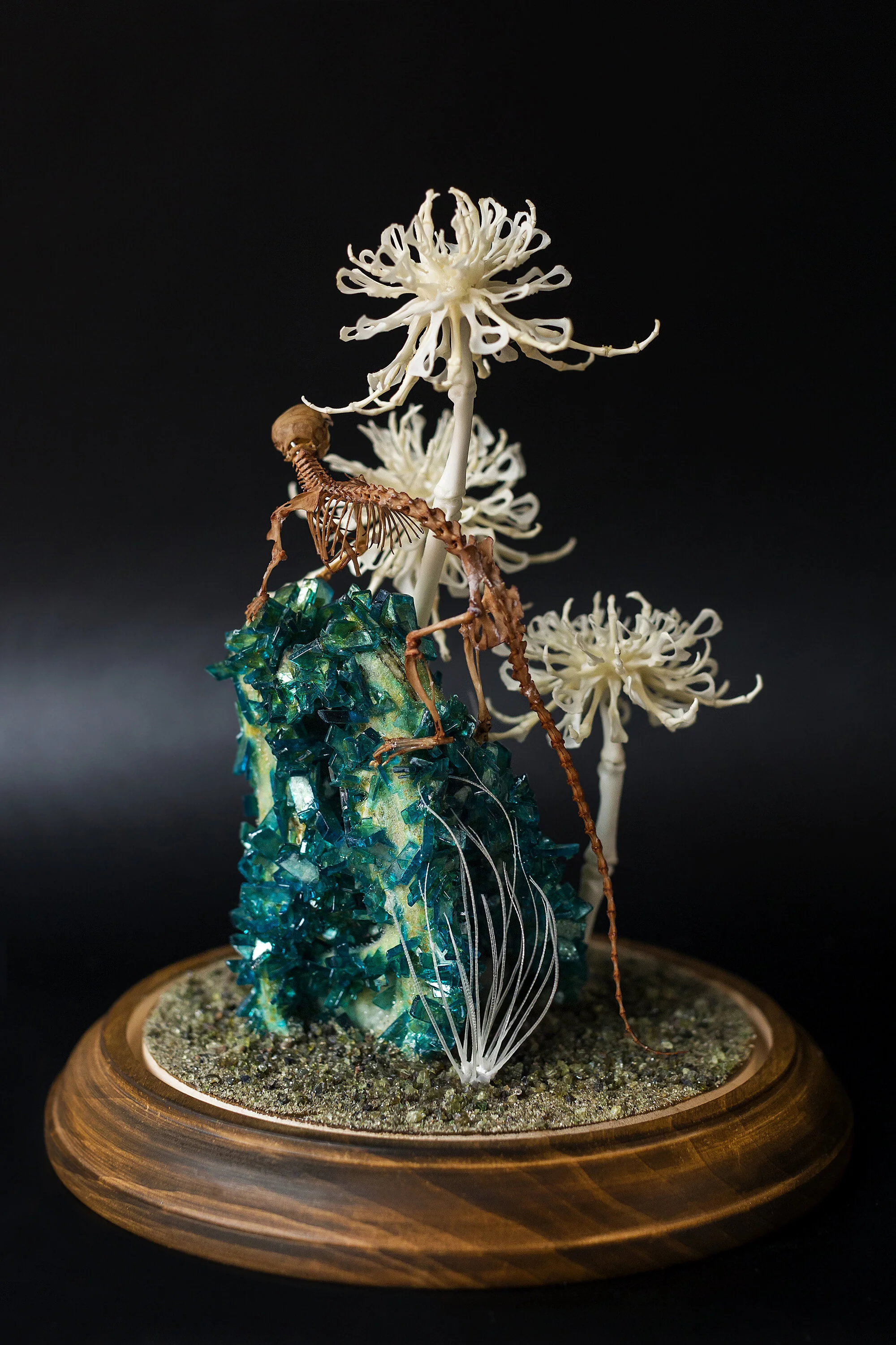 Metamorphosis (2020) — Gerard Geer