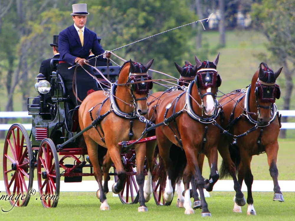 High Country Carriage Driving Club