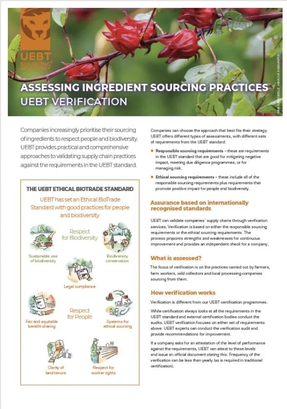 Verification — UEBT