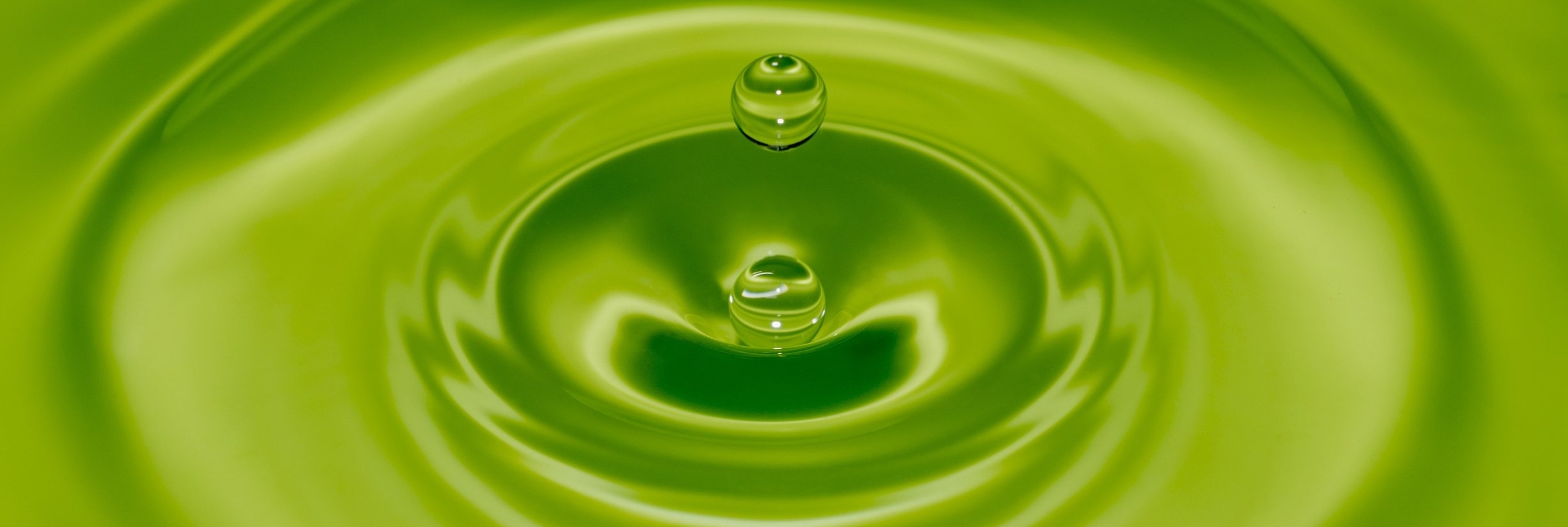 Certificate holders — UEBT