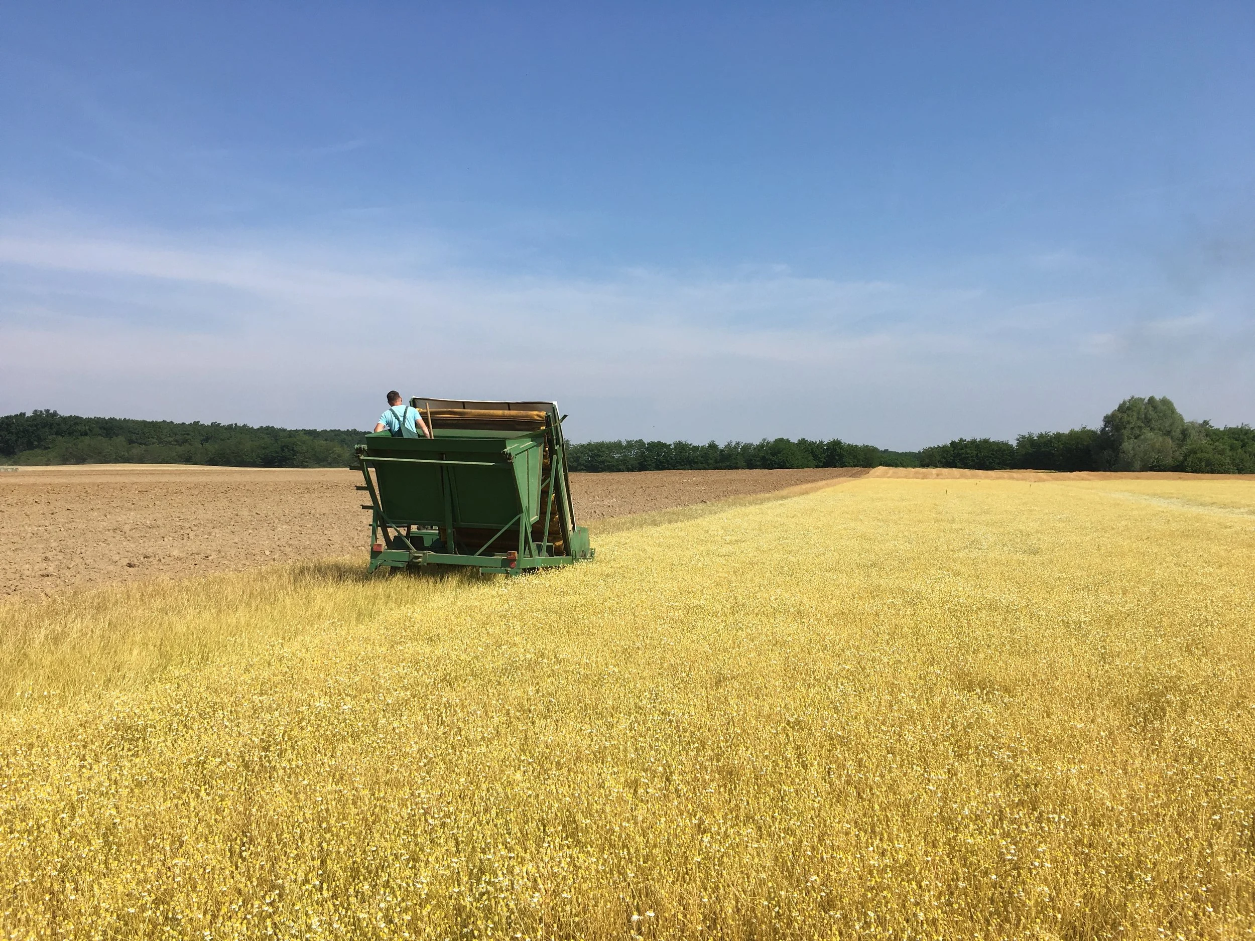 Certification — UEBT